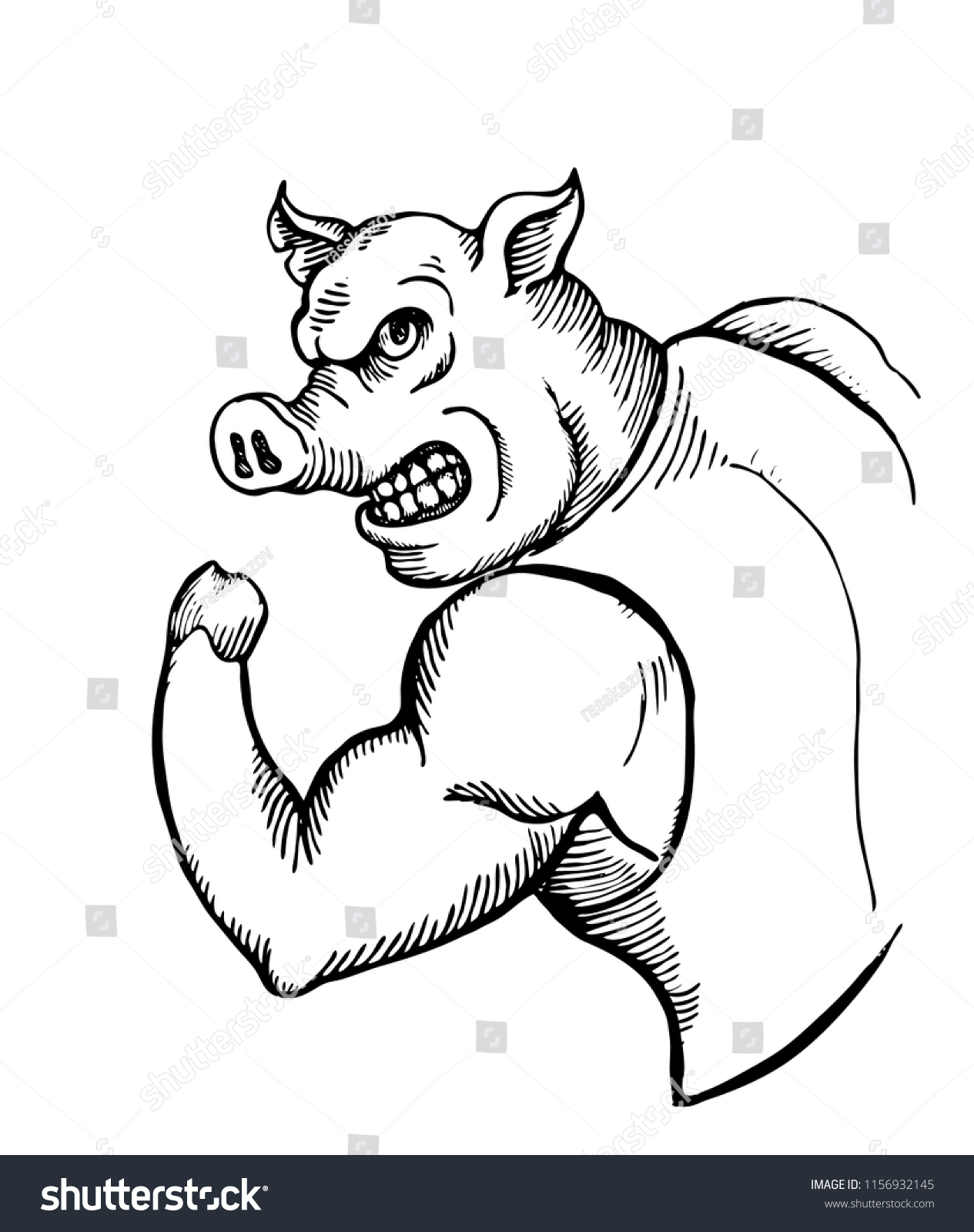 Mighty Pig Bodybuilder: เวกเตอร์สต็อก (ปลอดค่าลิขสิทธิ์) 1156932145 ...
