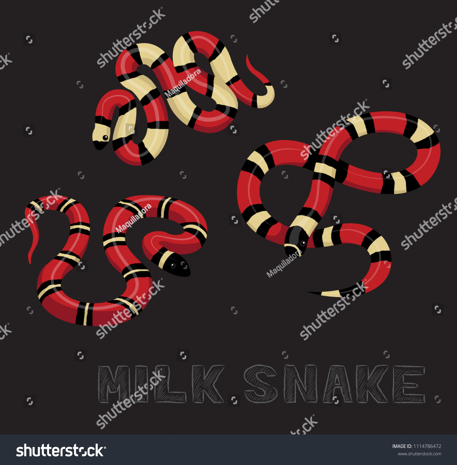 Milk Snake Cartoon Vector Illustration Stock-vektor (royaltyfri ...