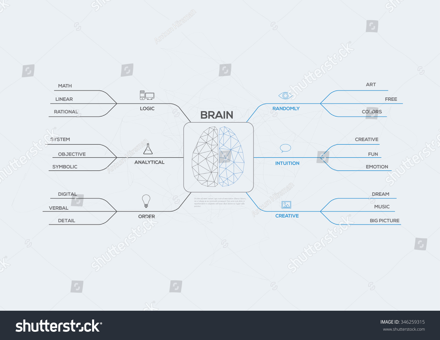 Mind Map Infographic Template Vector Illustration Stock Vector (Royalty ...