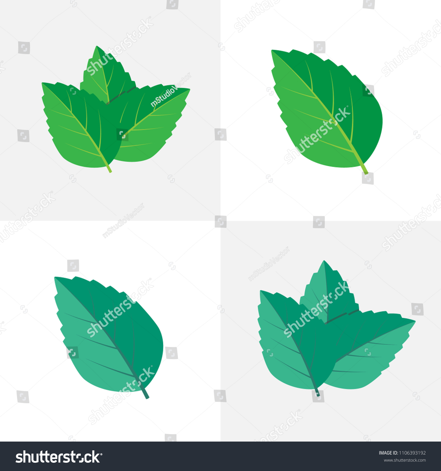 Mint Green Vector Illustration Mint Leaves Stock Vector (Royalty Free ...