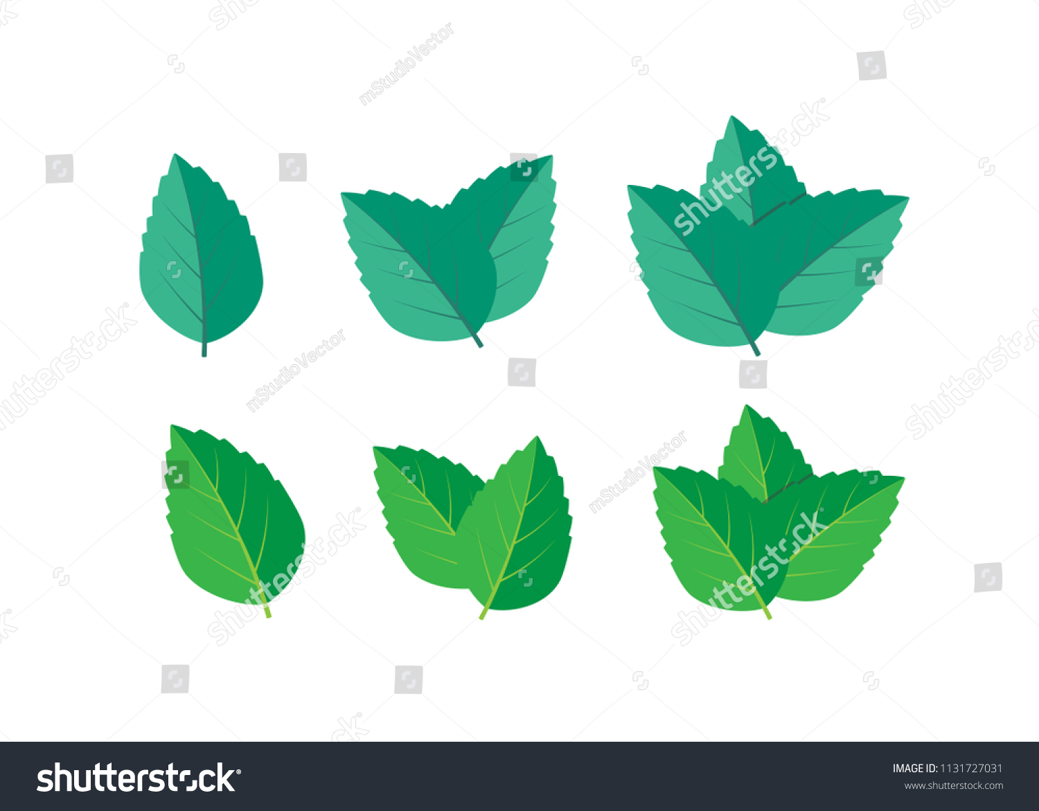 Mint Green Vector Illustration Set Mint Stock Vector (Royalty Free ...