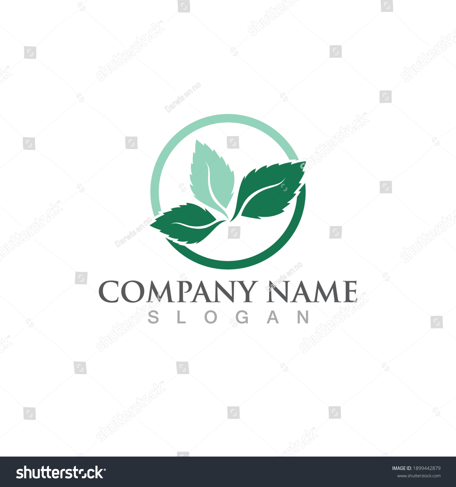 Mint Leaf Green Fresh Logo Design Stock Vector (Royalty Free ...