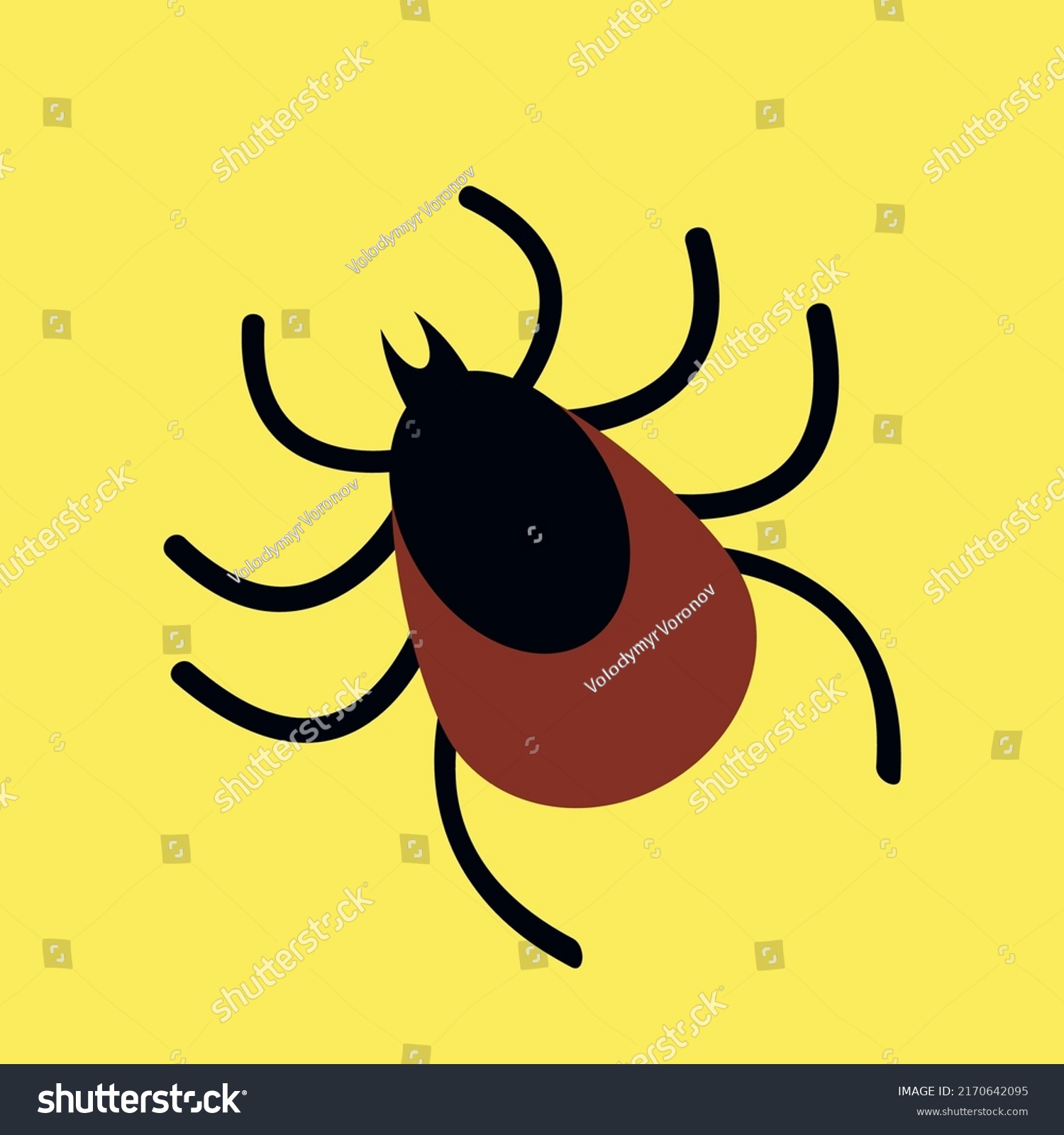 Mite View Above Illustration Stock Vector (Royalty Free) 2170642095 ...