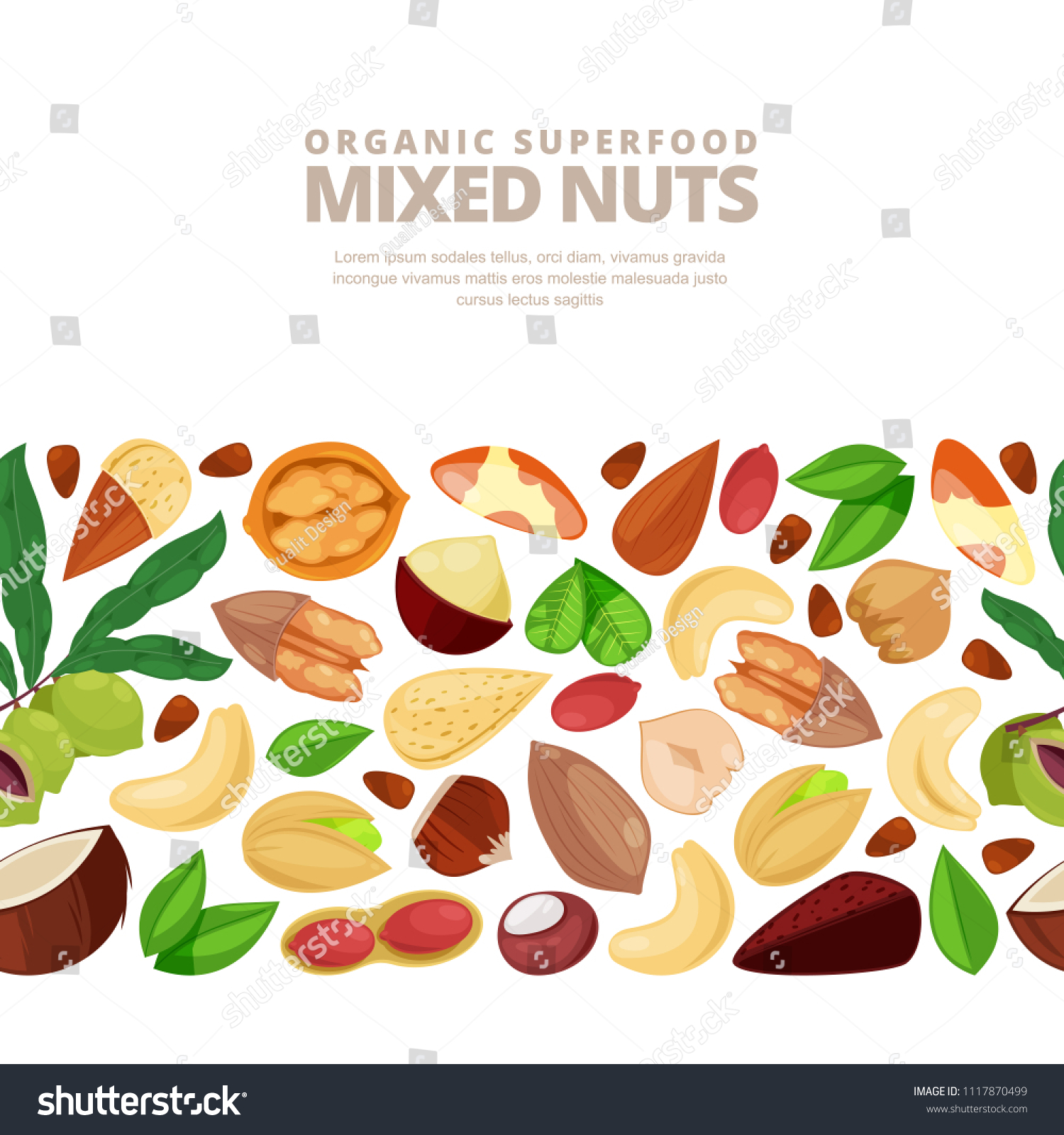 Mixed Nuts Vector Horizontal Seamless White Stock Vector (Royalty Free ...