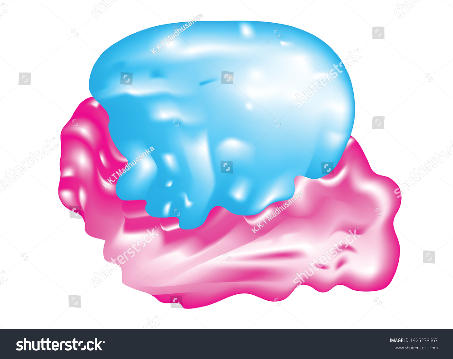 Model Enzyme Substrate Complex Stock Vector (Royalty Free) 1925278667 ...