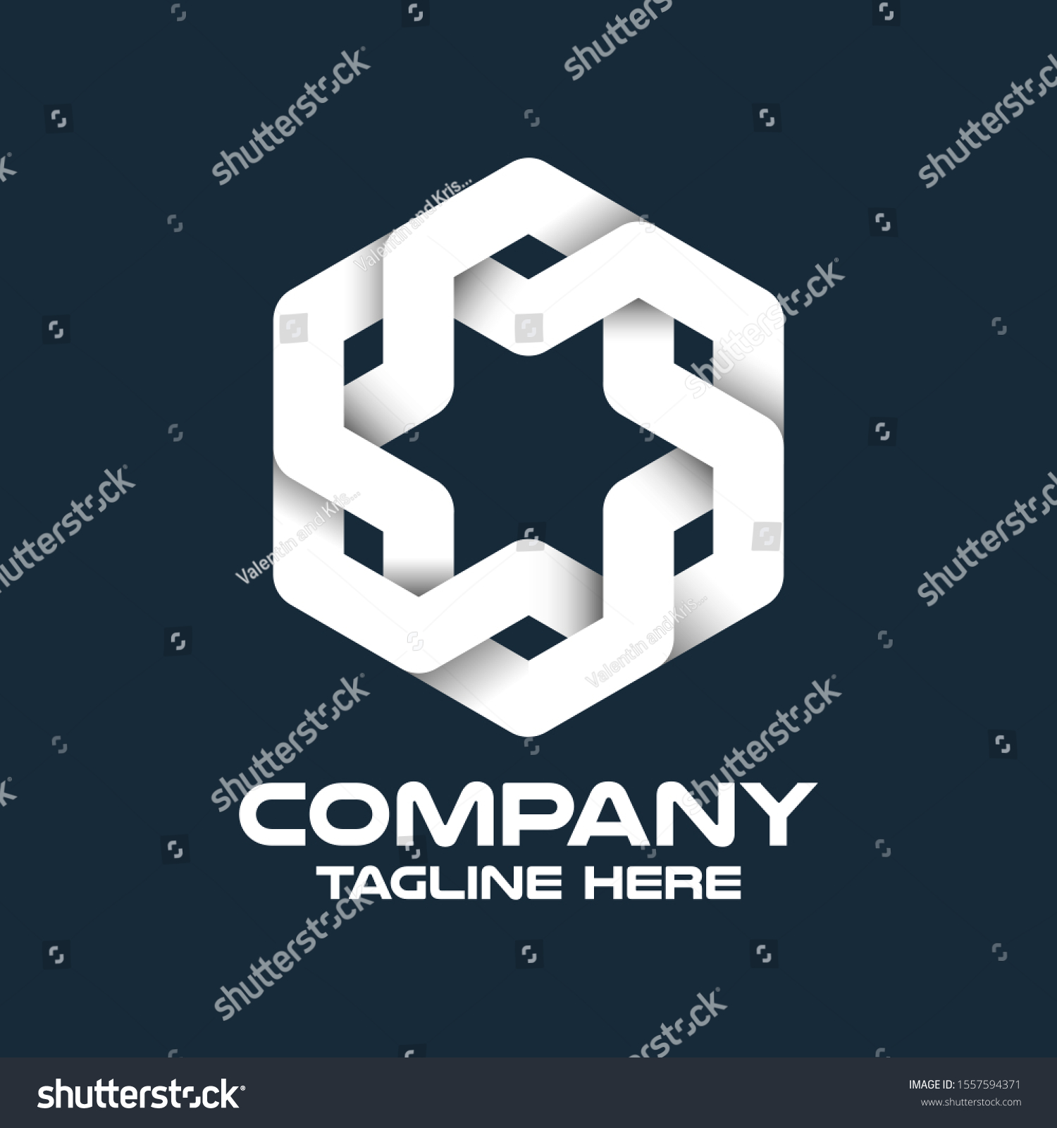 Modern 3d Hexagon Logo Vector Illustration Stock Vector (Royalty Free ...