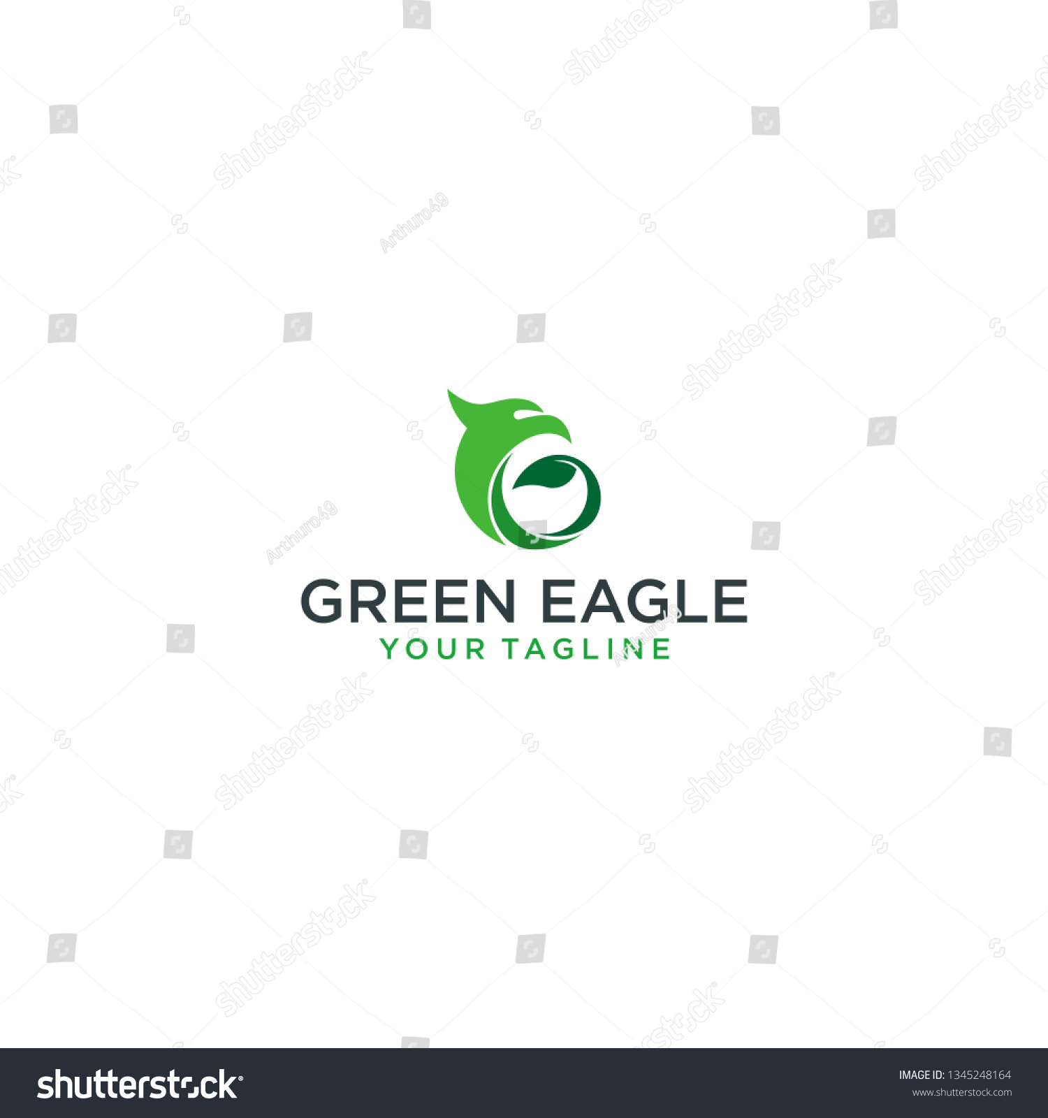 Modern Green Eagle Logo Stock Vector (Royalty Free) 1345248164