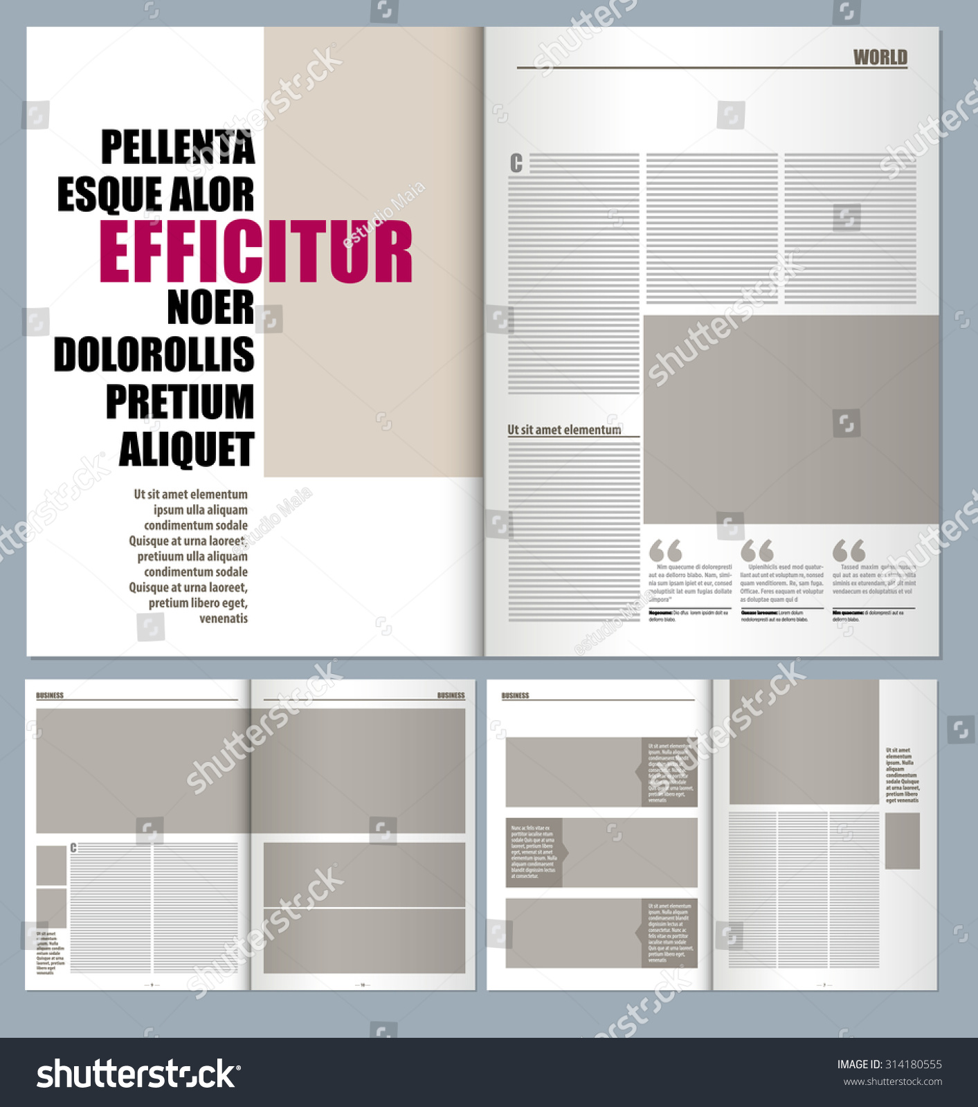 Modern Magazine Layout Template Stock Vector (Royalty Free) 314180555