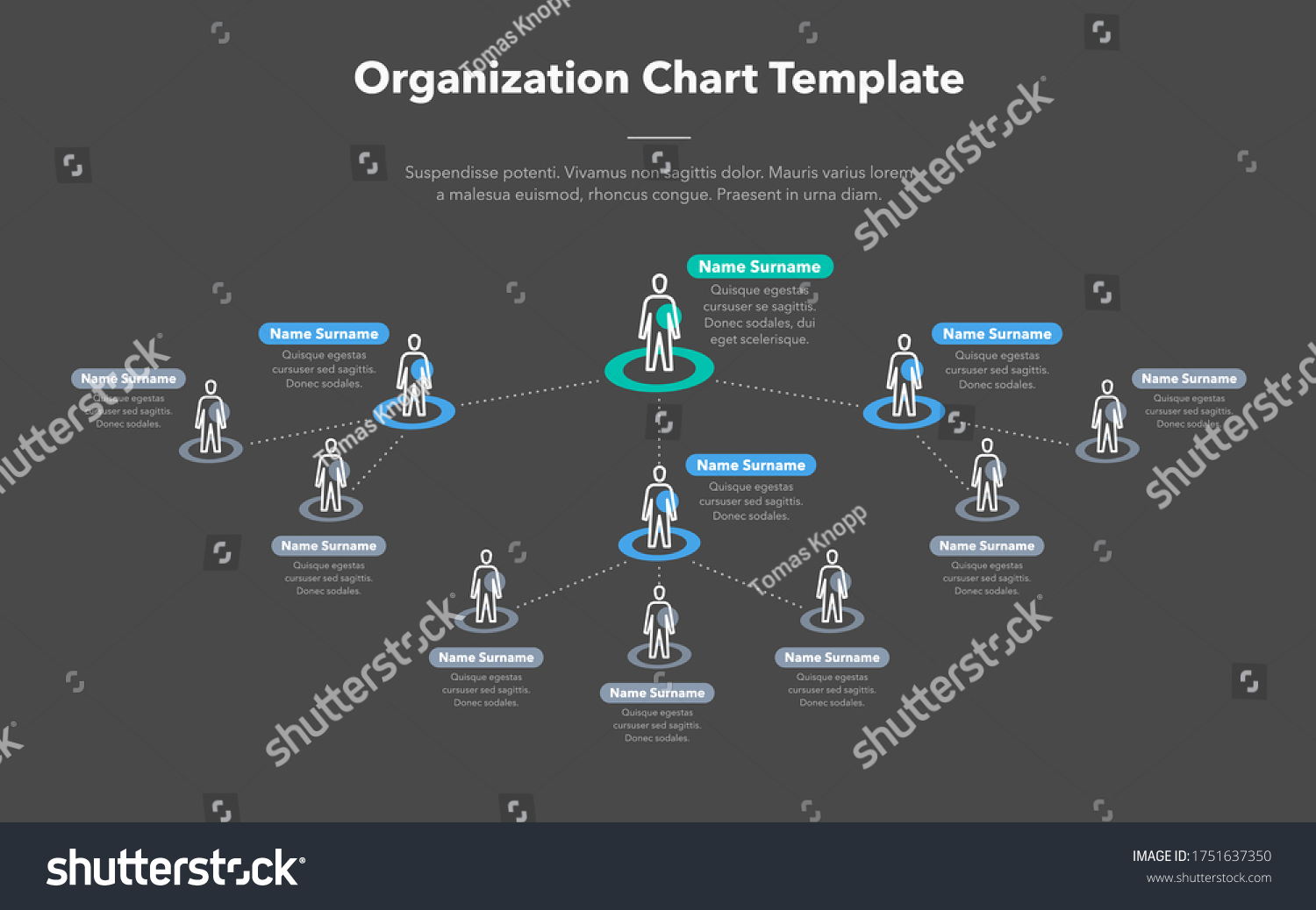 Modern Simple Company Organization Hierarchy Schema: Vector có sẵn ... Modern Simple Company Organization Hierarchy Schema: Vector có sẵn ...