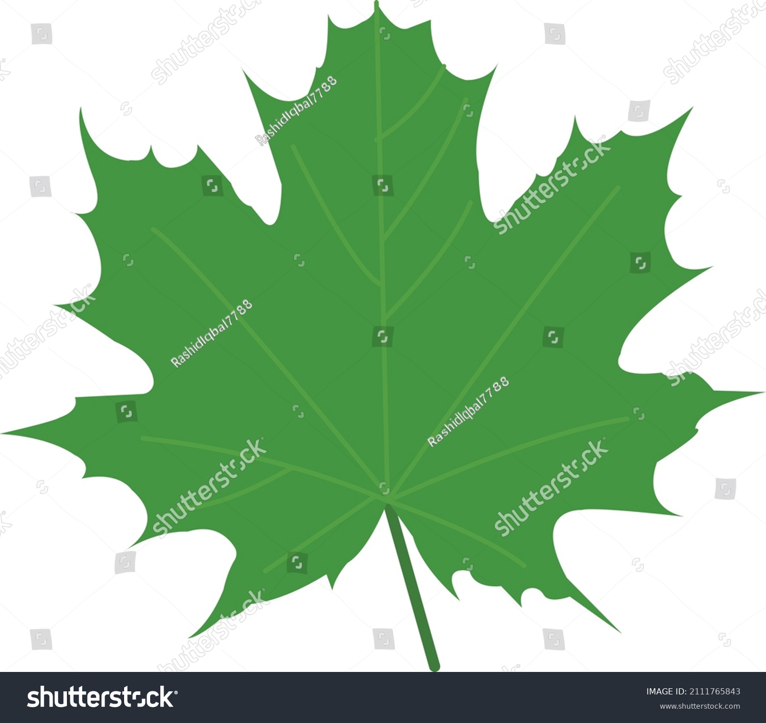 Money Leaf Vector Flat Illustration Stock Vector (Royalty Free ...