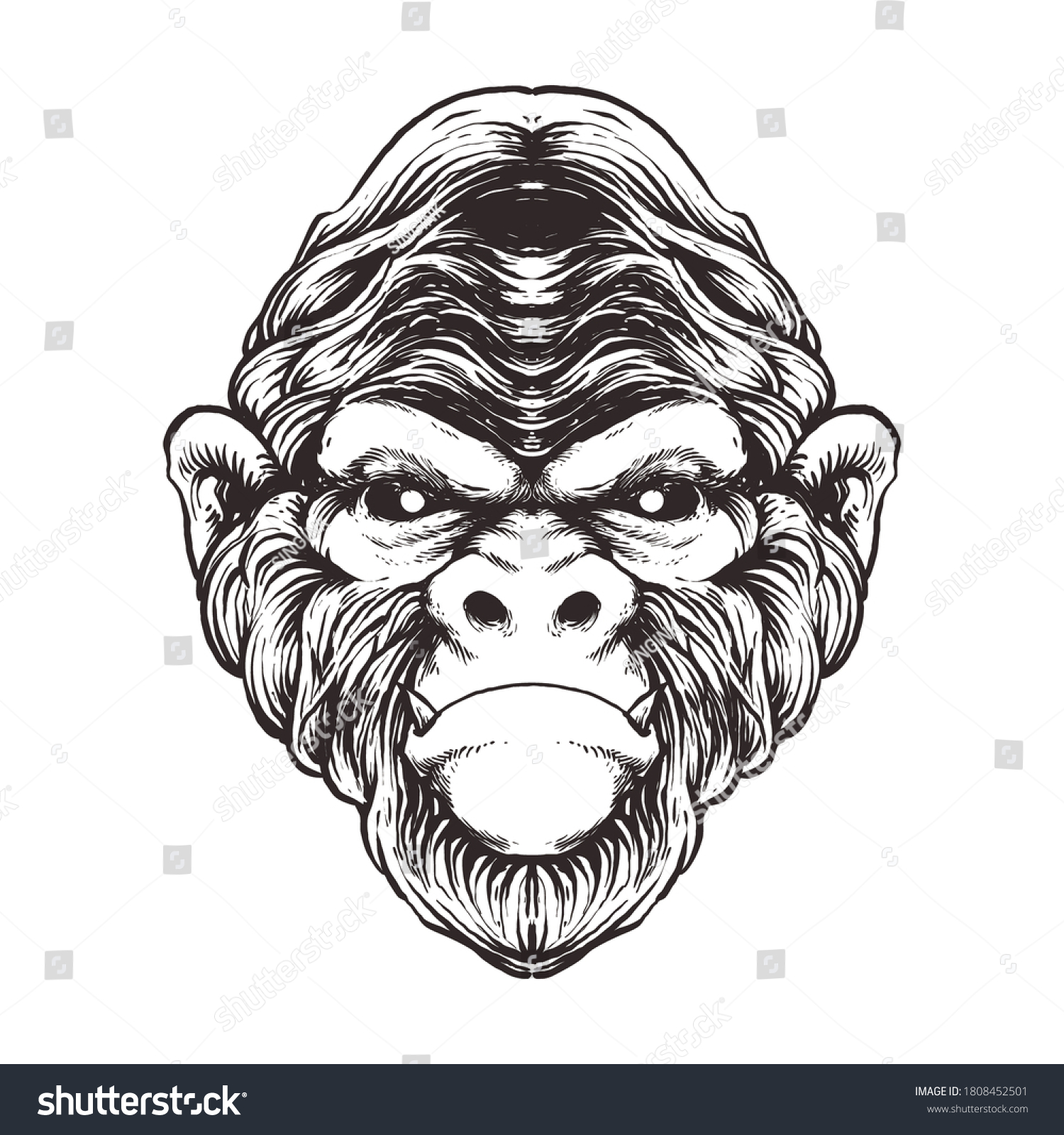 Monkey Line Art Illustration Vector Stock Vector (Royalty Free ...