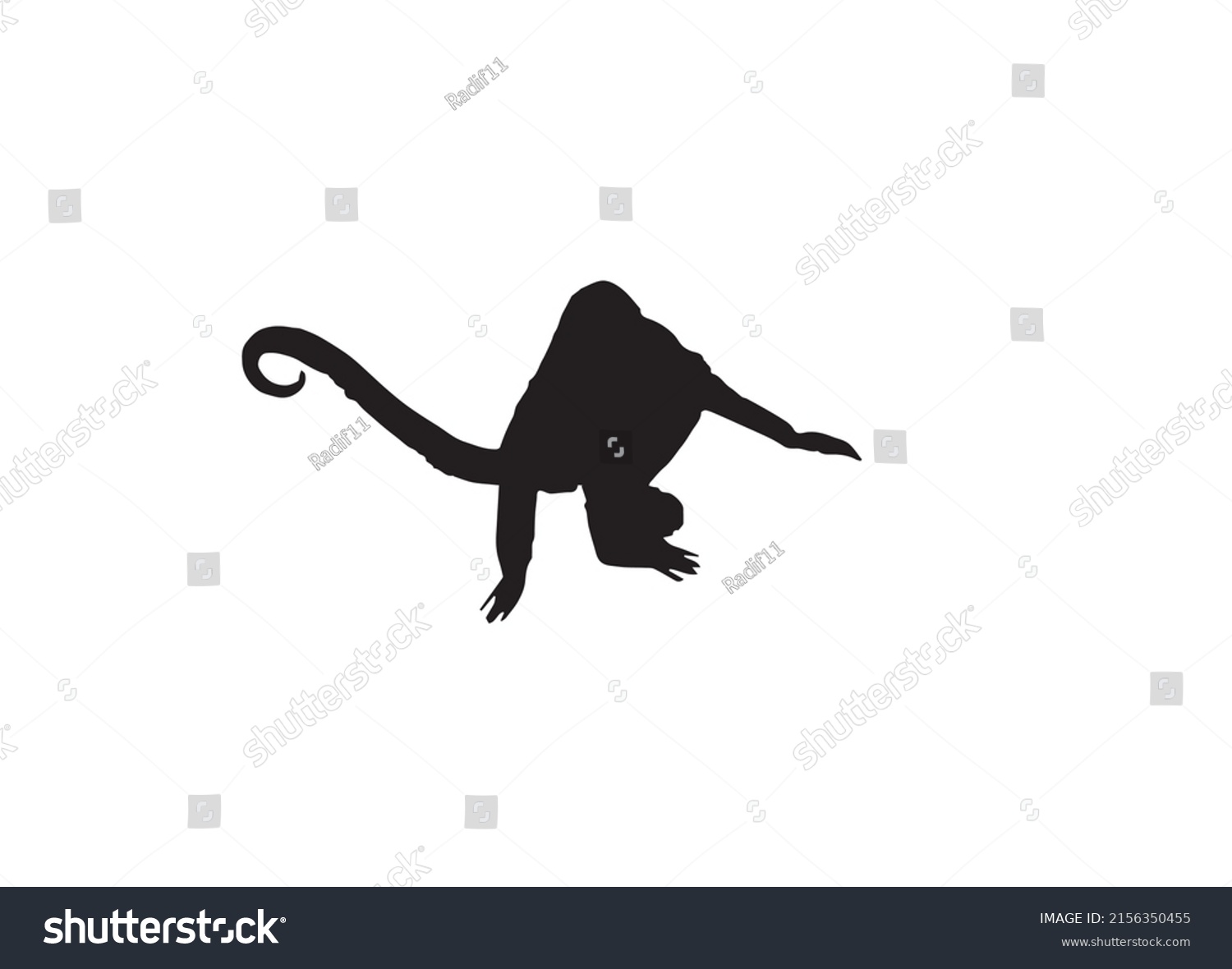 574 Monkey falling 이미지, 스톡 사진 및 벡터 | Shutterstock