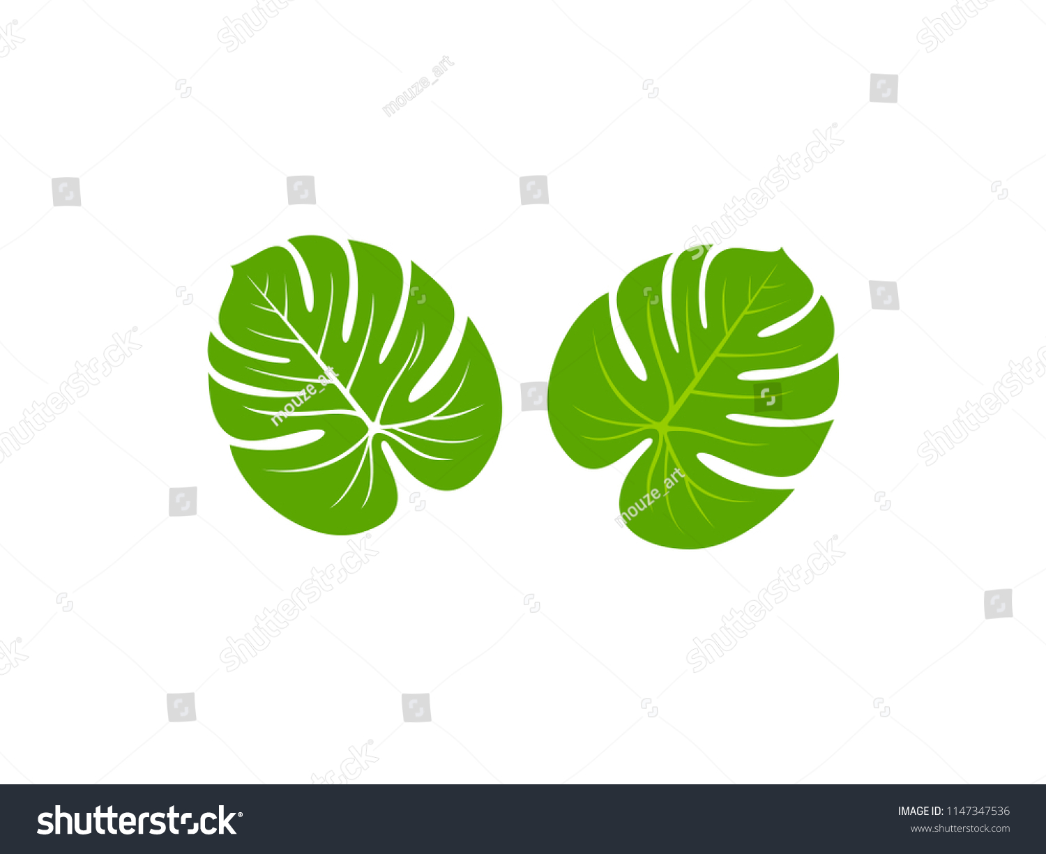 Monstera Leaf Icon Vector Illustraion Stock Vector (Royalty Free ...