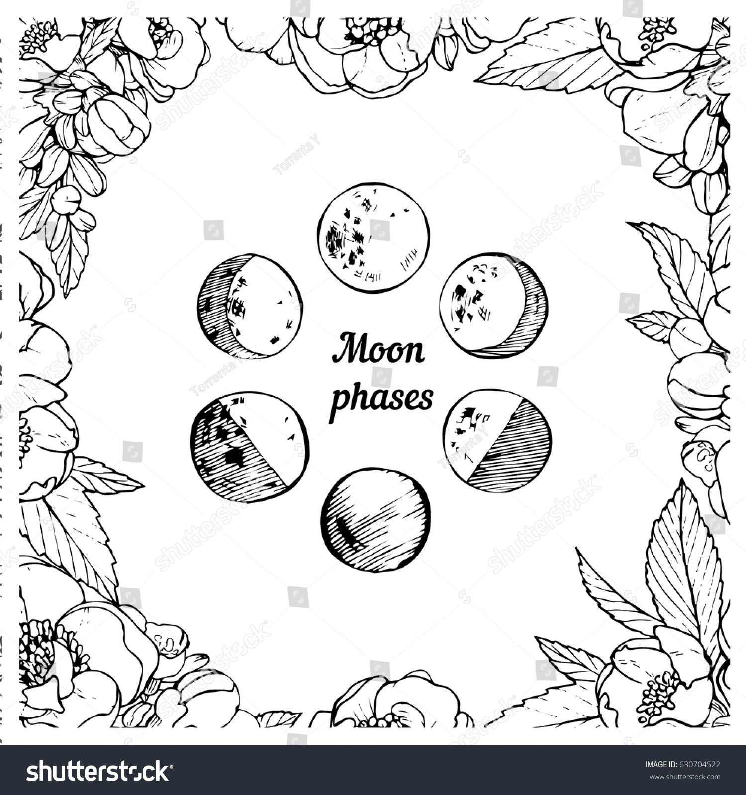 Moon Phases Circle Flower Frame Stock Vector (Royalty Free) 630704522 ...
