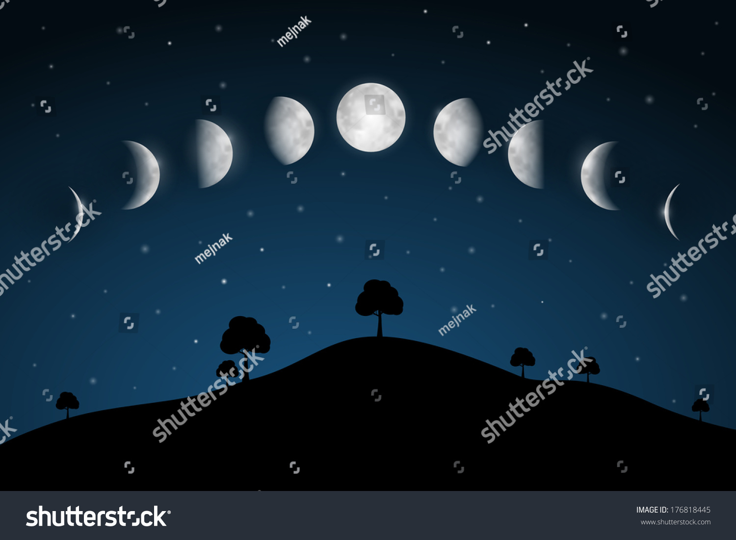 Moon Phases Night Landscape Trees Stock Vector (Royalty Free) 176818445 ...