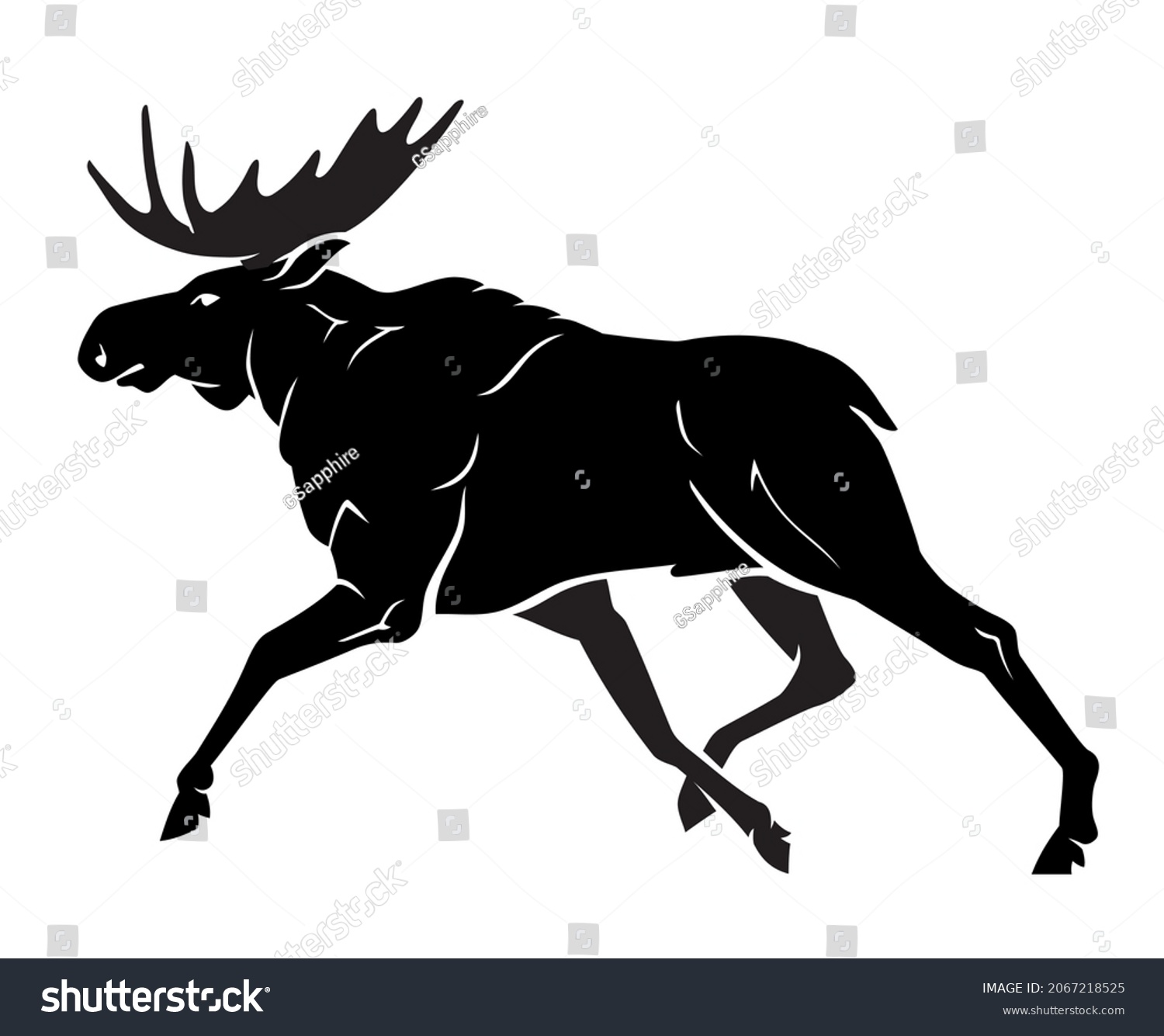 1,457 Moose running Images, Stock Photos & Vectors | Shutterstock