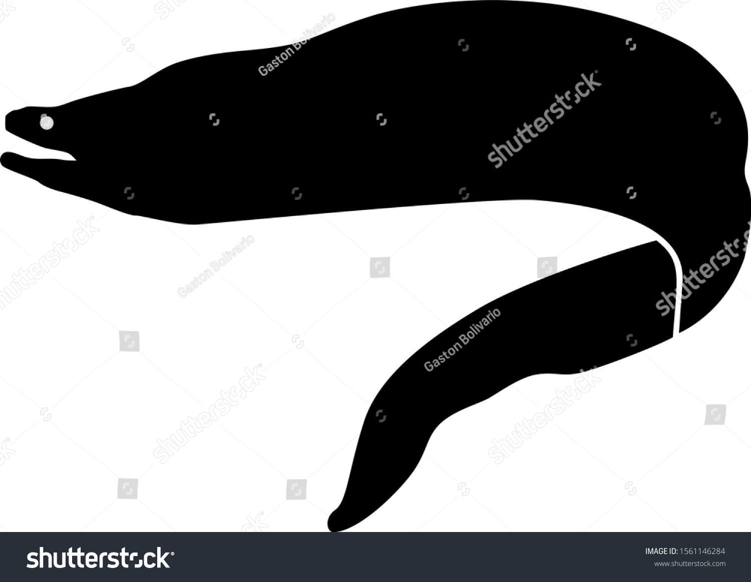 Moray Eel Silhouette Vector Graphic : image vectorielle de stock (libre ...
