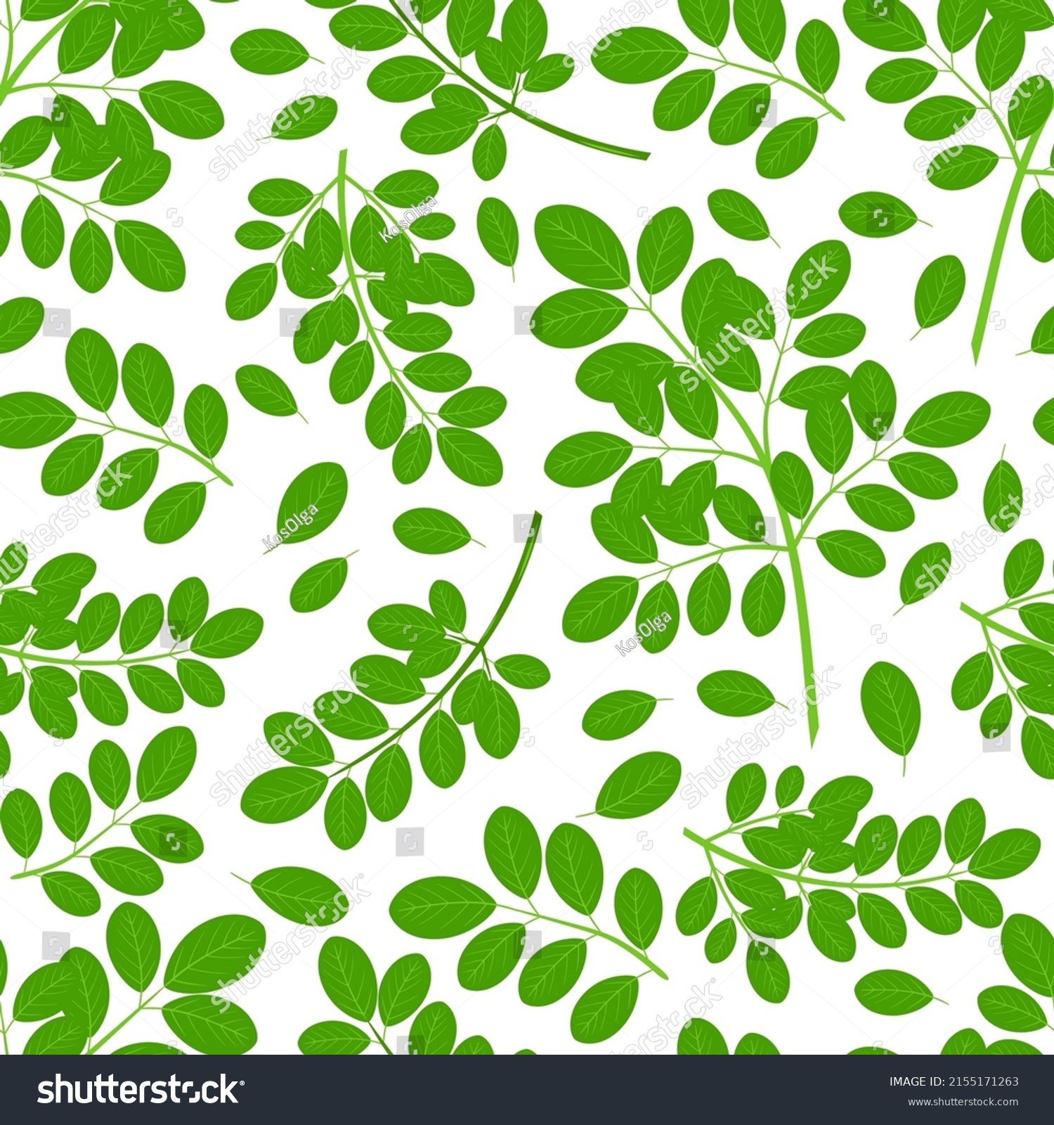Moringa Branch Leaves Color Seamless Pattern Stock Vector (Royalty Free ...