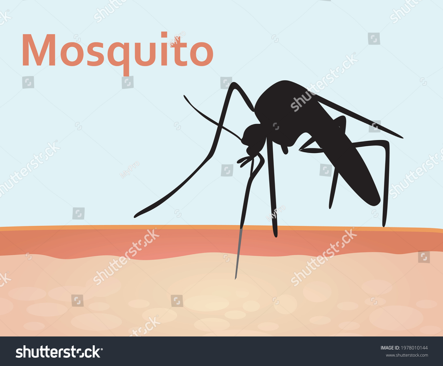 Mosquito On Skin Vector Illustration Stock Vector (Royalty Free ...