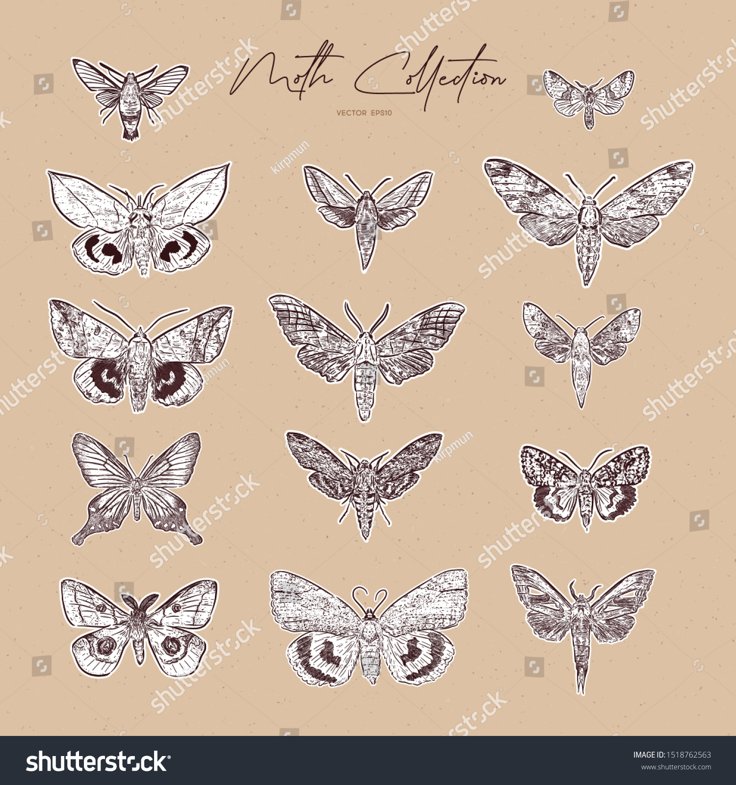 Moth Collection Hand Draw Sketch Vector Stock Vector (Royalty Free ...