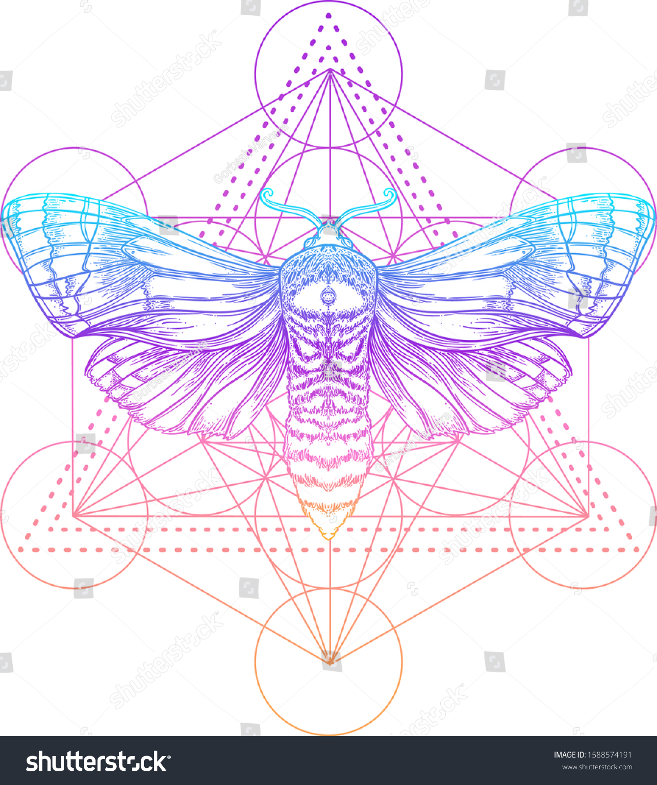Moth Over Mandala Beautiful Vintage Round Stock Vector (Royalty Free ...