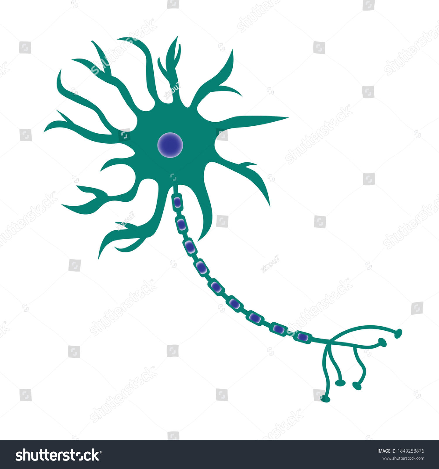 Motor Neuron On White Background Stock Vector (Royalty Free) 1849258876