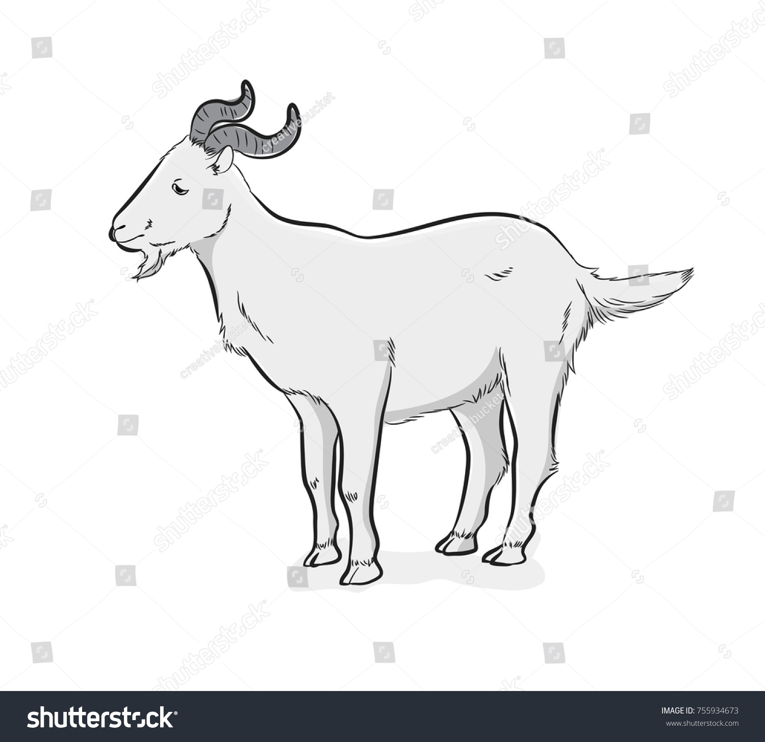 Mountain Goat Vector Illustration Stock Vector (Royalty Free) 755934673