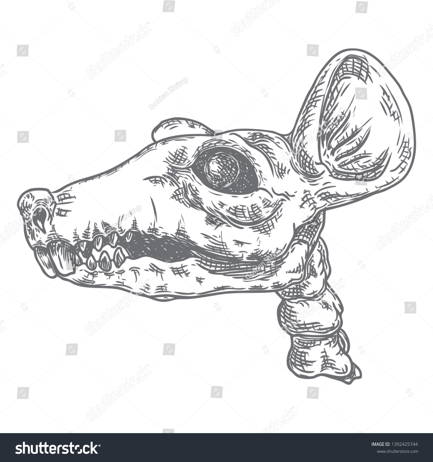 Mouse Rat Skeleton Skull Witchcraft Magic Stock Vector (Royalty Free ...