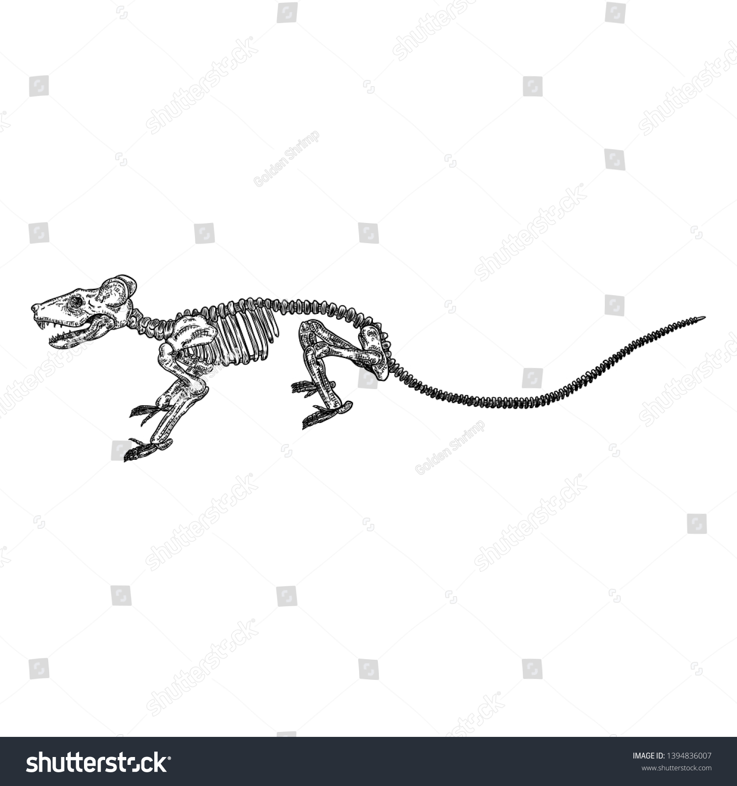 1,171 imágenes de Skeleton mouse - Imágenes, fotos y vectores de stock ...