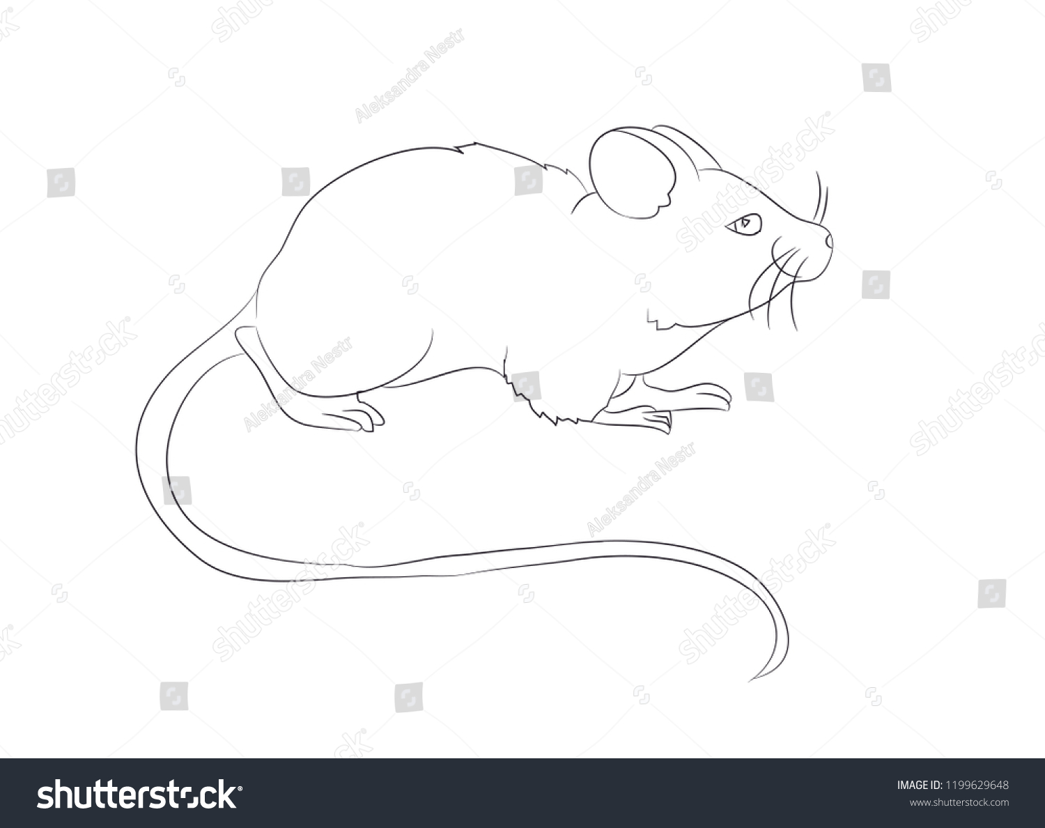 Mouse Stands Drawing By Lines Vector: Vector có sẵn (miễn phí bản quyền ...