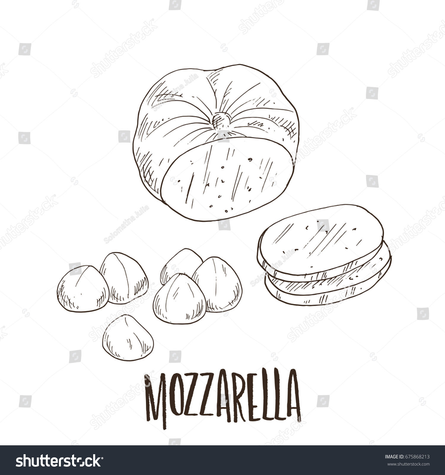 Mozzarella Hand Drawn Cheese Illustration Vector Stock Vector (Royalty ...