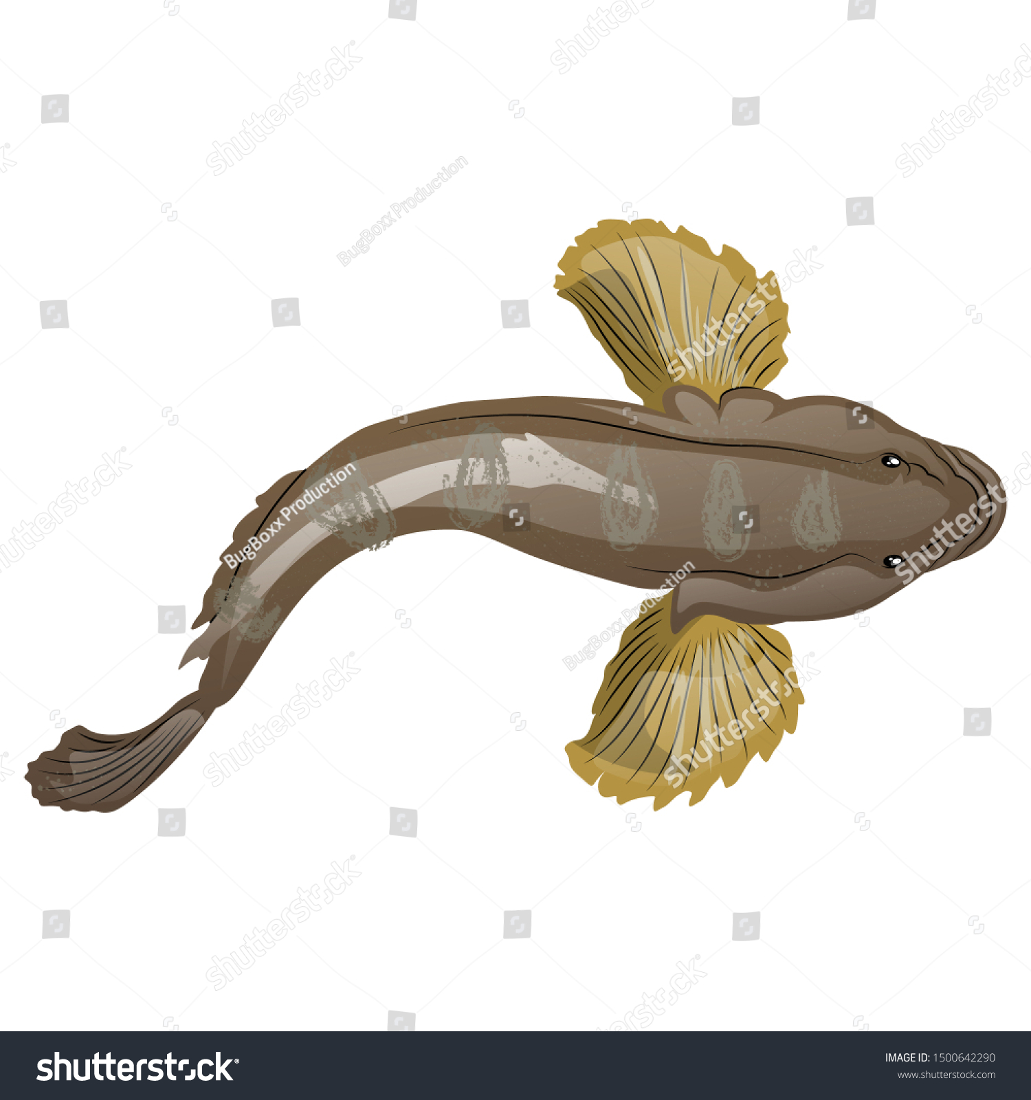 Mudskipper Fish Vector Illustration Isolated On Stock Vector (Royalty ...