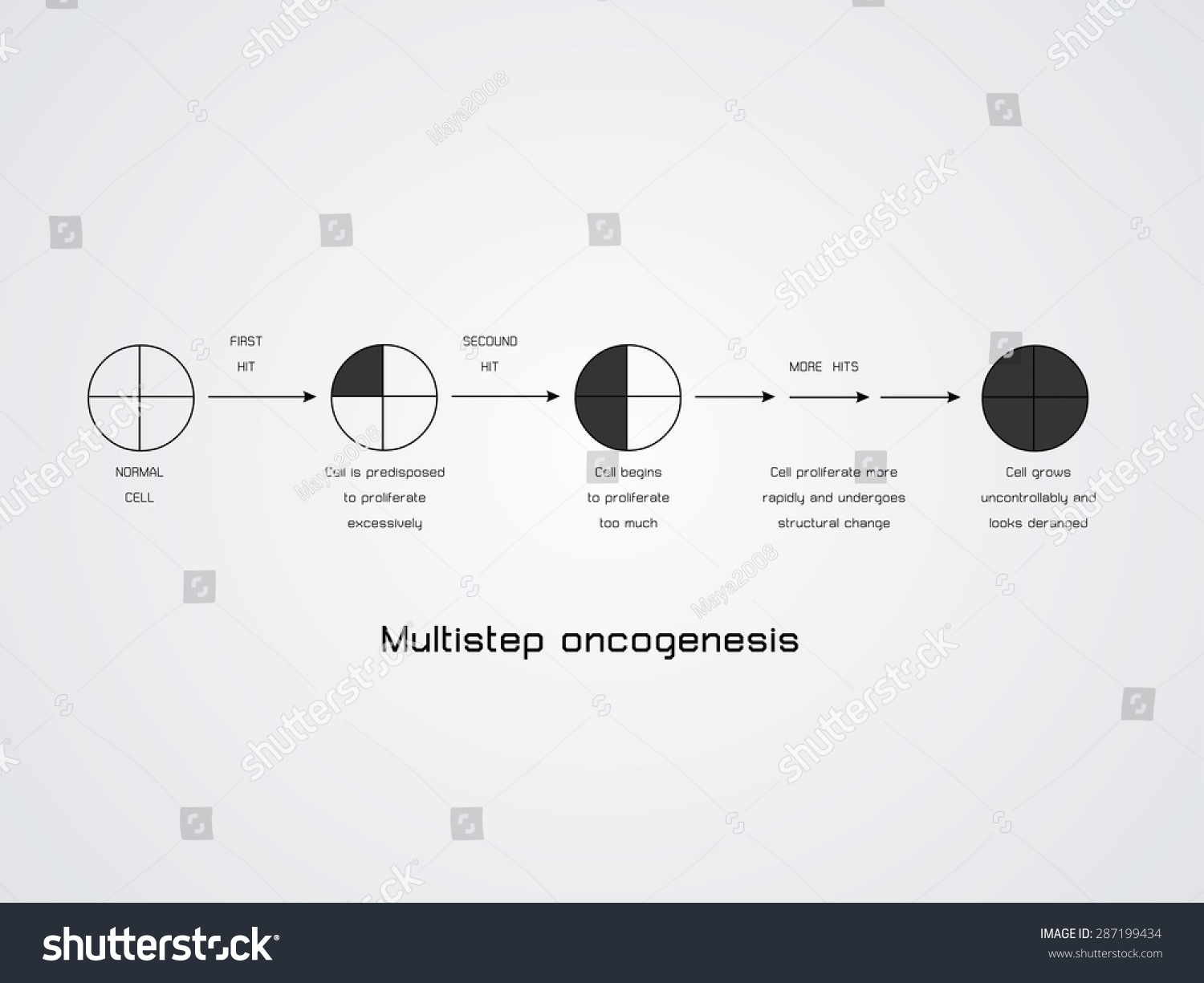 Multistep Oncogenesis Stock Vector (Royalty Free) 287199434