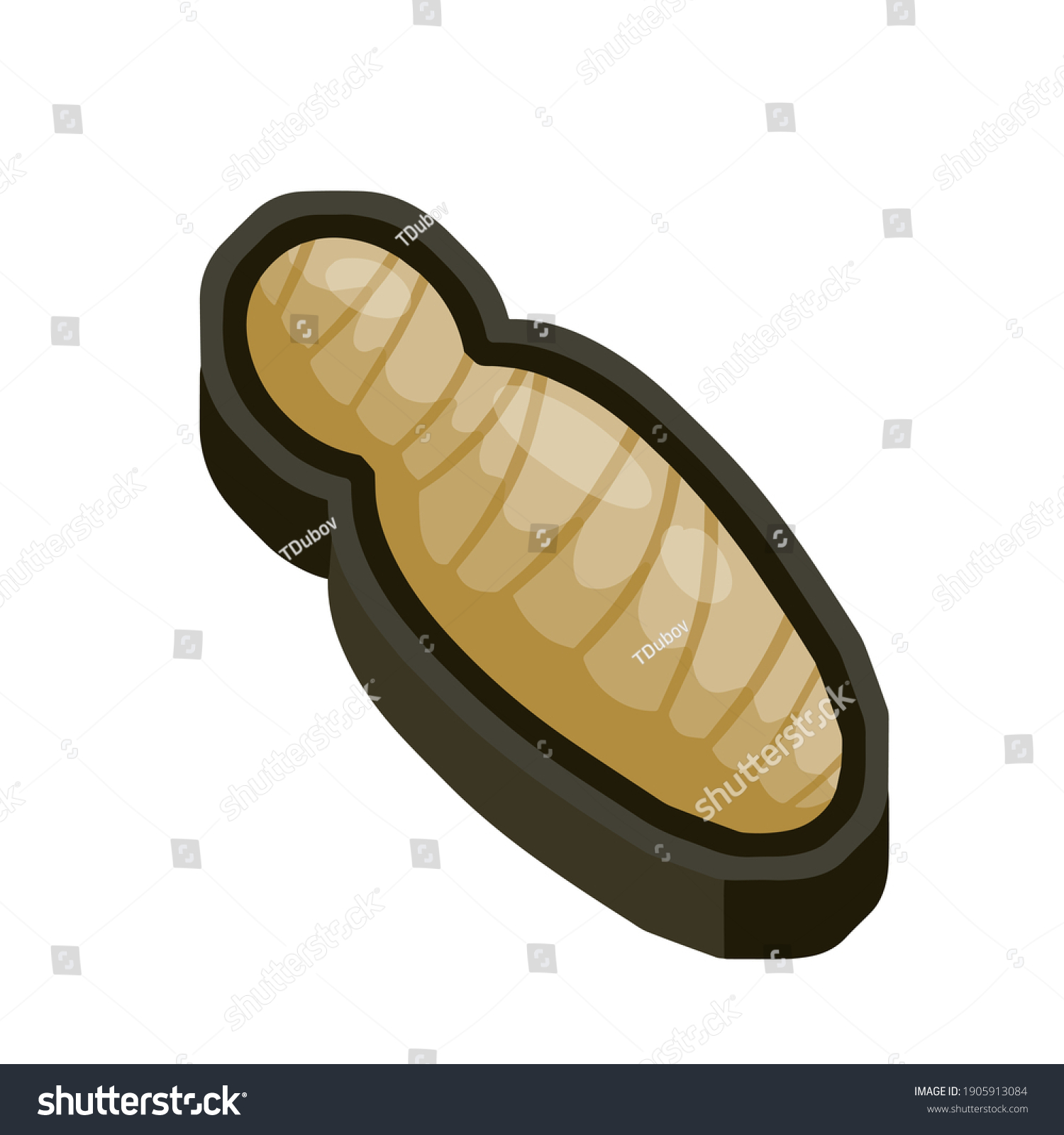 Mummy Coffin Sarcophagus Body Ancient Ruler Stock Vector Royalty Free 1905913084
