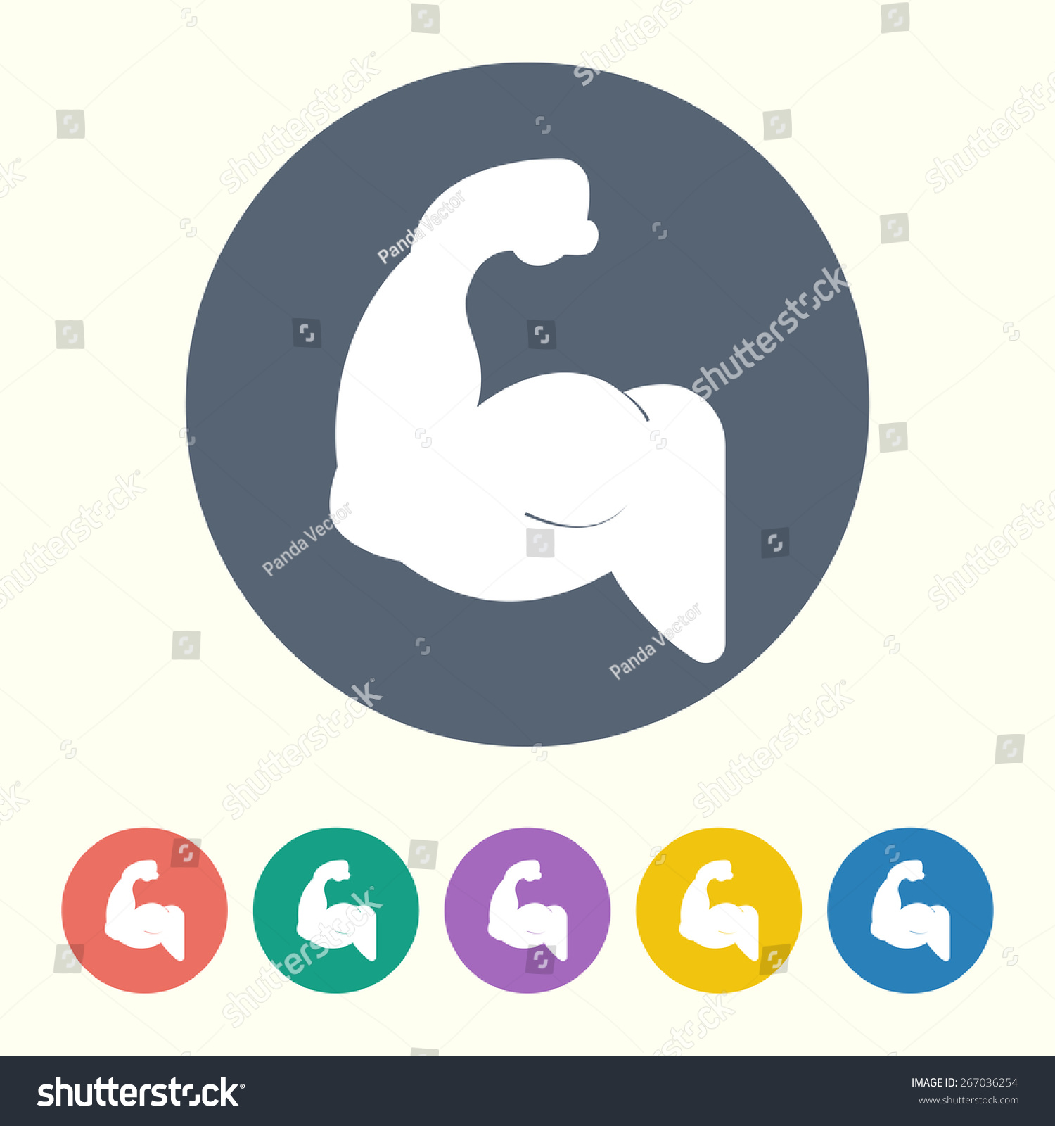 Muscle Icon Vector. - 267036254 : Shutterstock