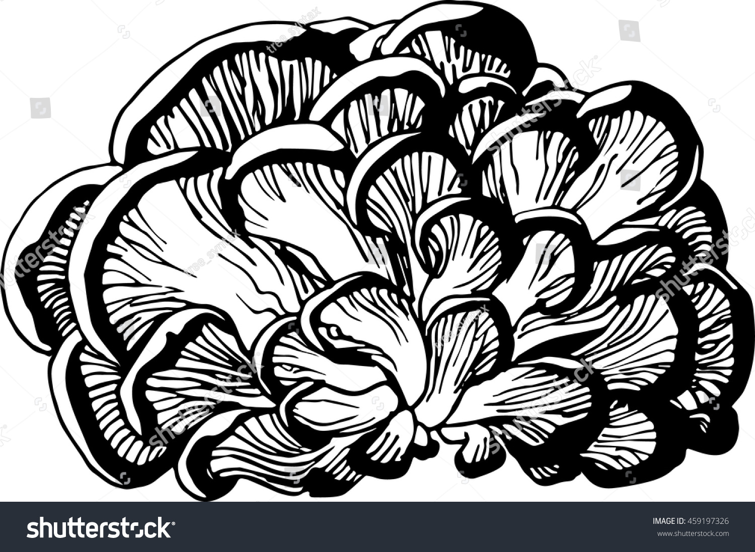 Mushrooms View Below Stock Vector (Royalty Free) 459197326 | Shutterstock