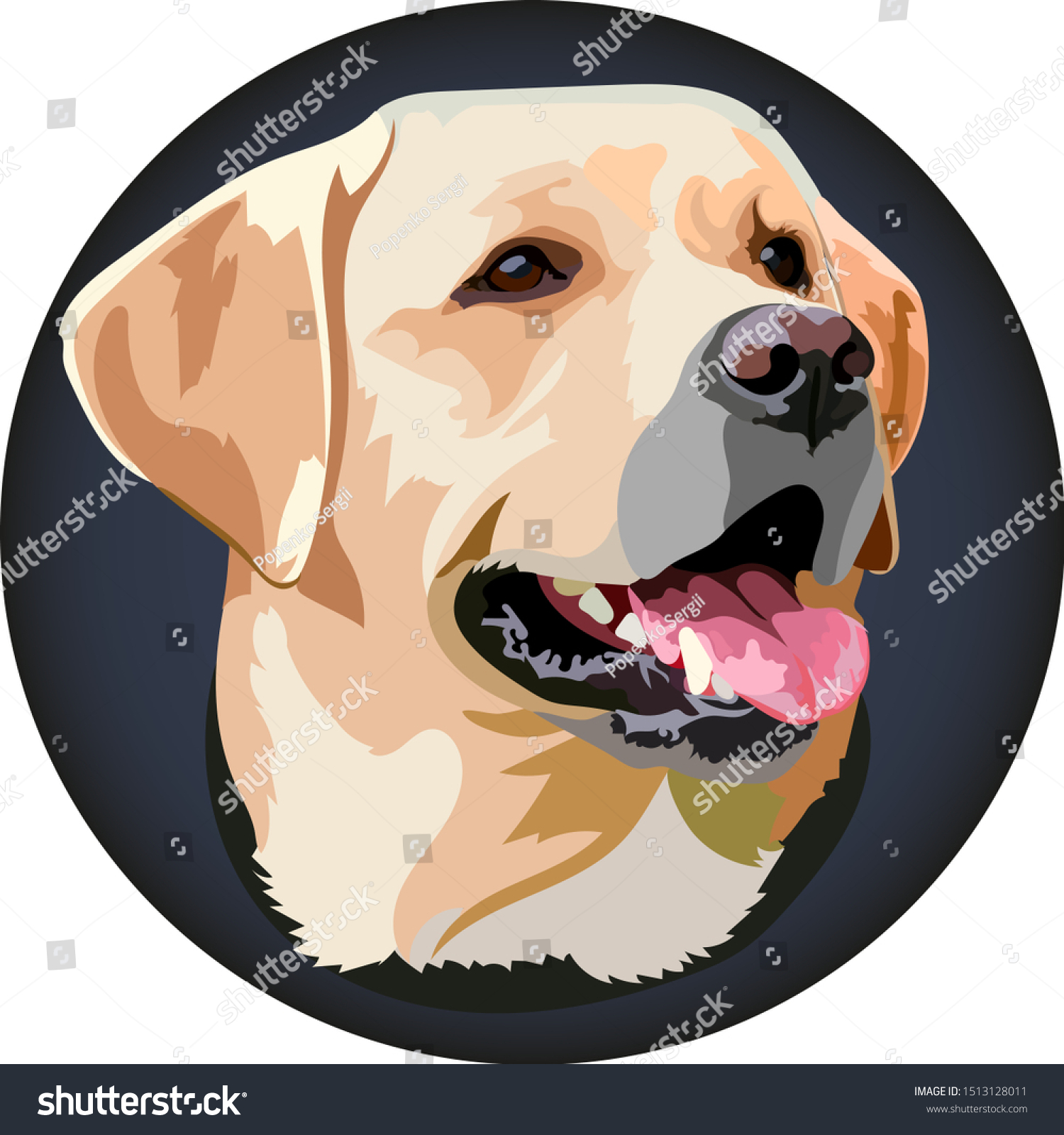 43,946 Yellow labrador retriever Images, Stock Photos & Vectors ...