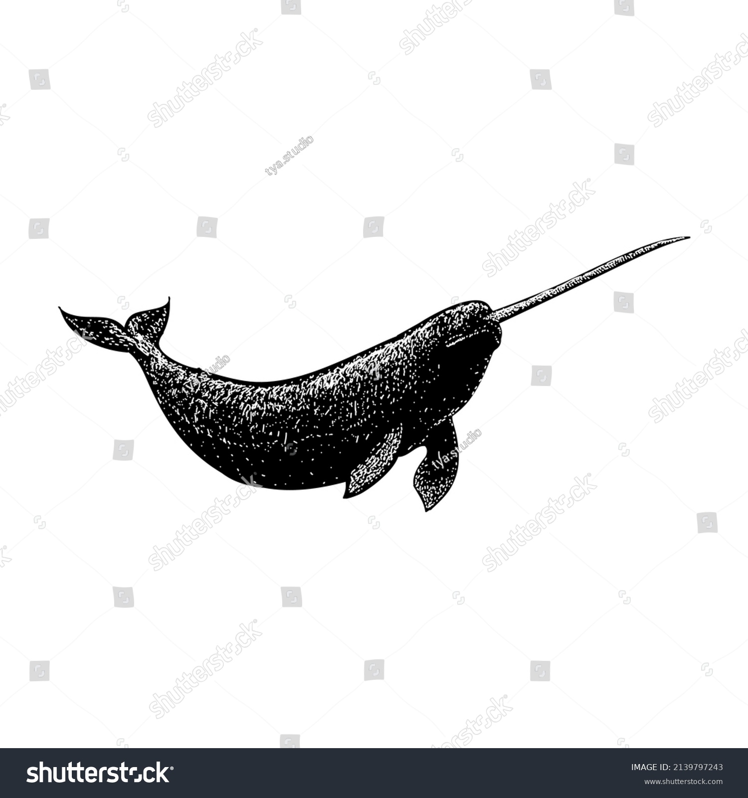 Narwhal Illustration Isolated On White Background Stock Vector (Royalty ...