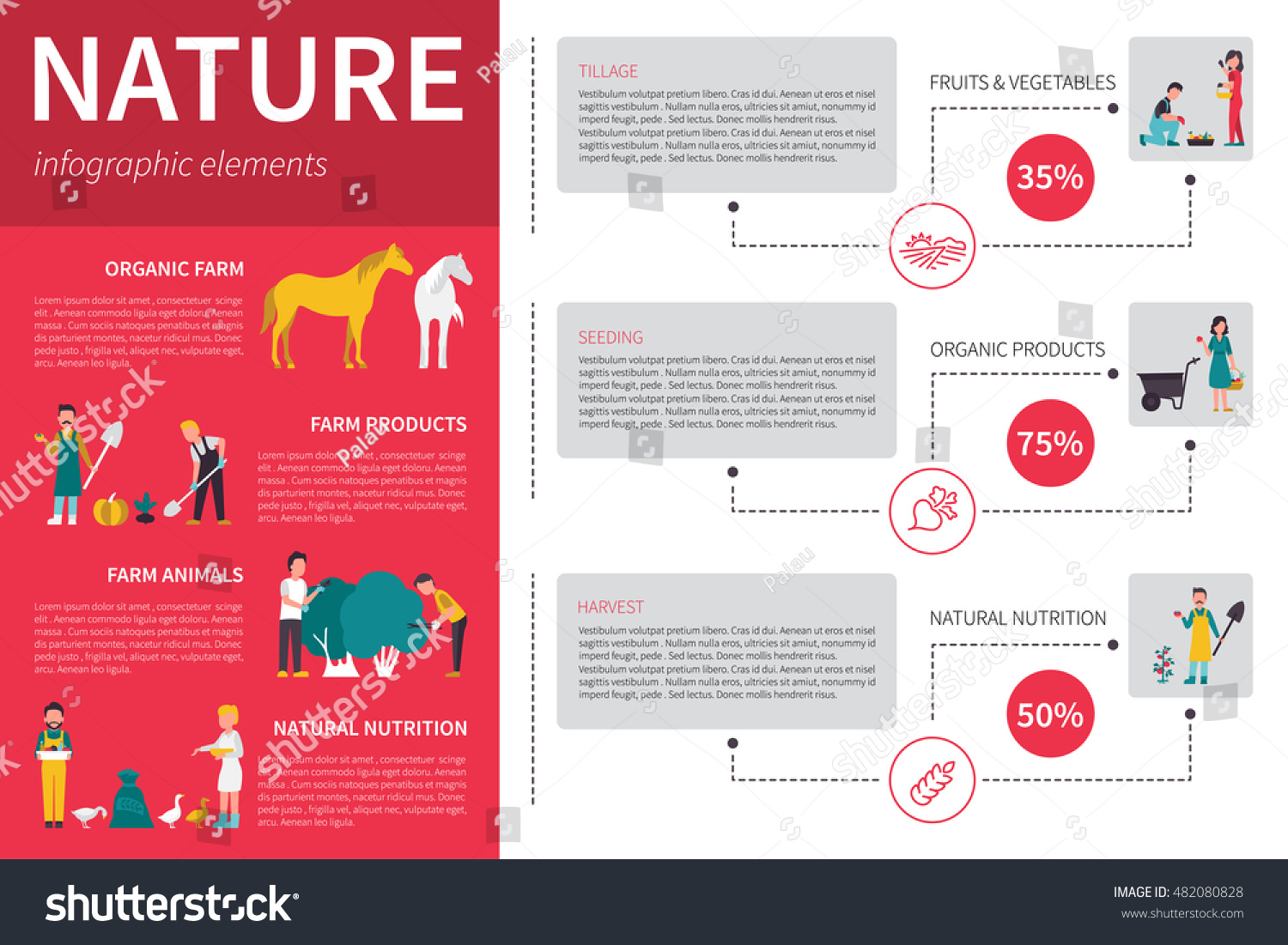 Nature Infographic Flat Vector Illustration Presentation Stock Vector ...