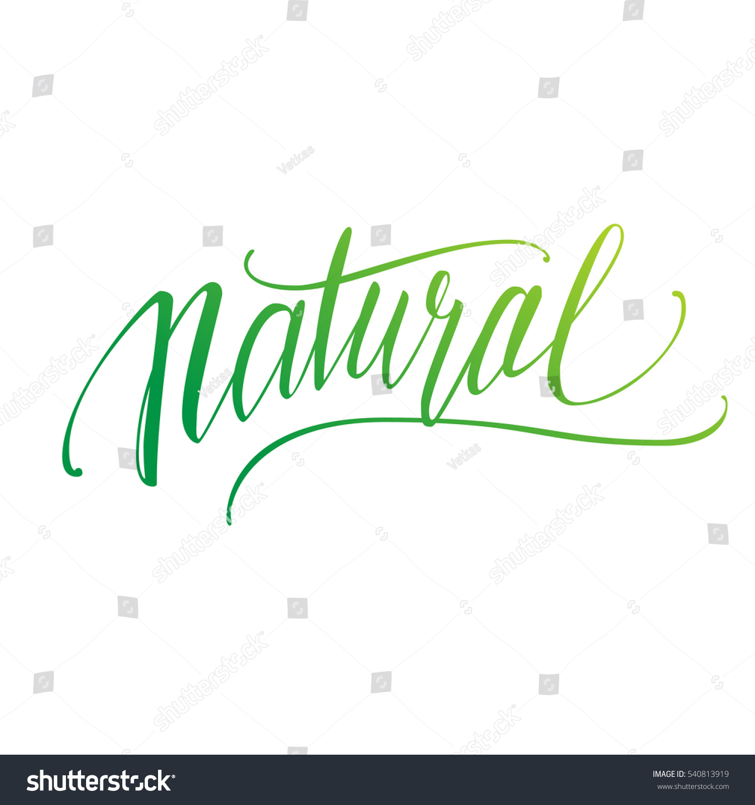 Netural Vector Lettering Design Calligraphy: vector de stock (libre de ...