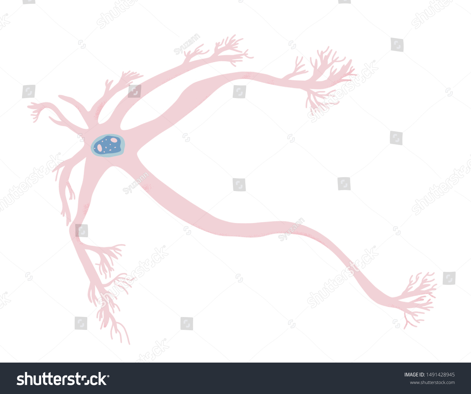 Neuron Cells Long Axons Vector Illustration: เวกเตอร์สต็อก (ปลอดค่า ...