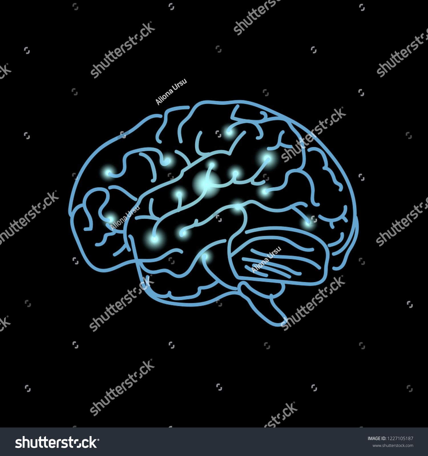 Neuroscience Human Brain Vector Stock Vector (Royalty Free) 1227105187