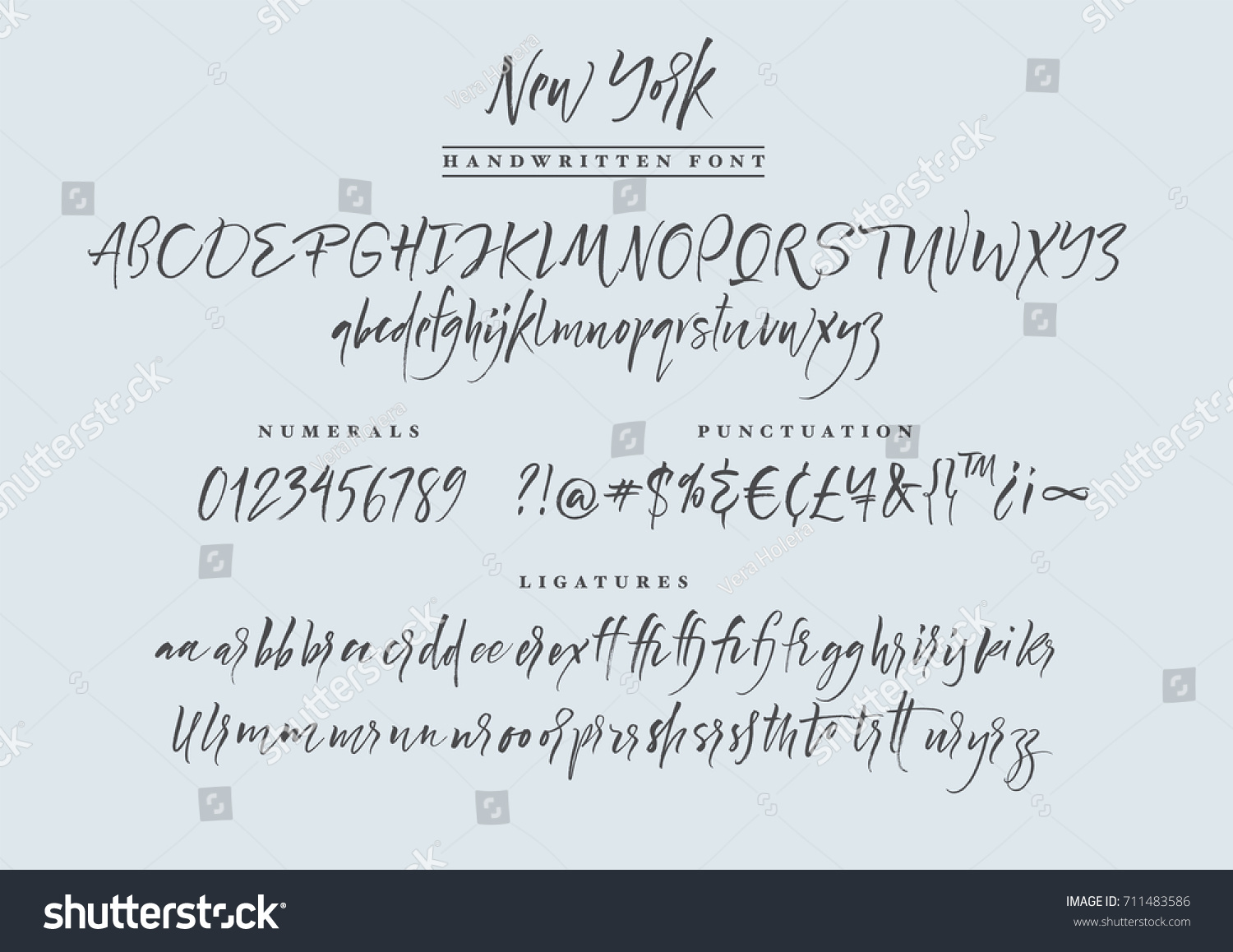 New York Handwritten Font Script Calligraphic Stock Vector (Royalty ...