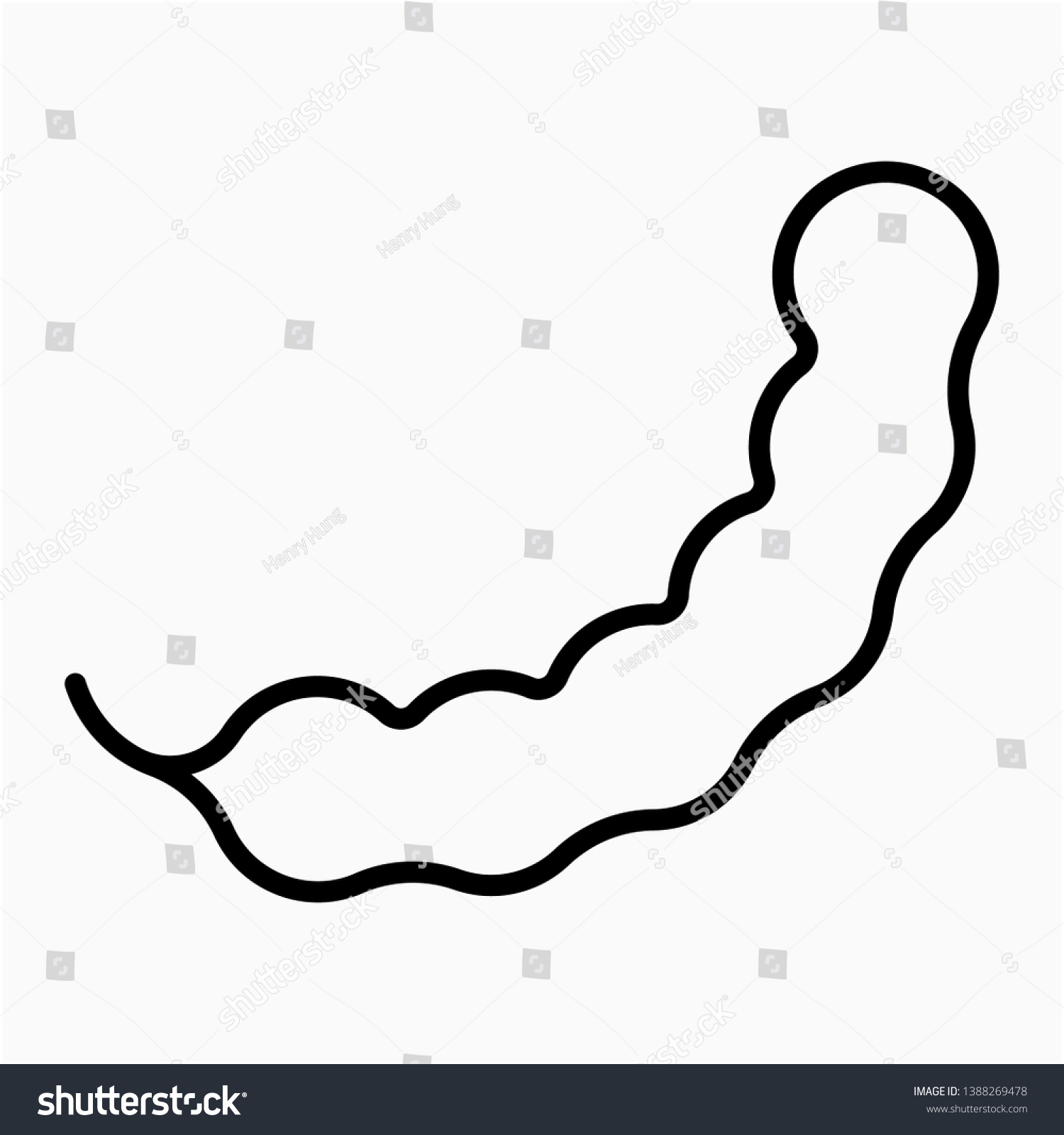 Nice Outline Tamarind Vector Icon Stock Vector (Royalty Free) 1388269478