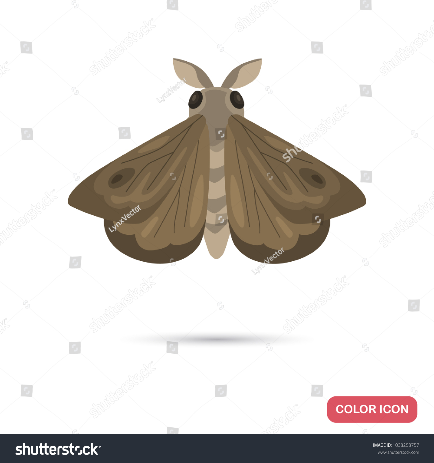 8,496 imágenes de Moth flat - Imágenes, fotos y vectores de stock | Shutterstock