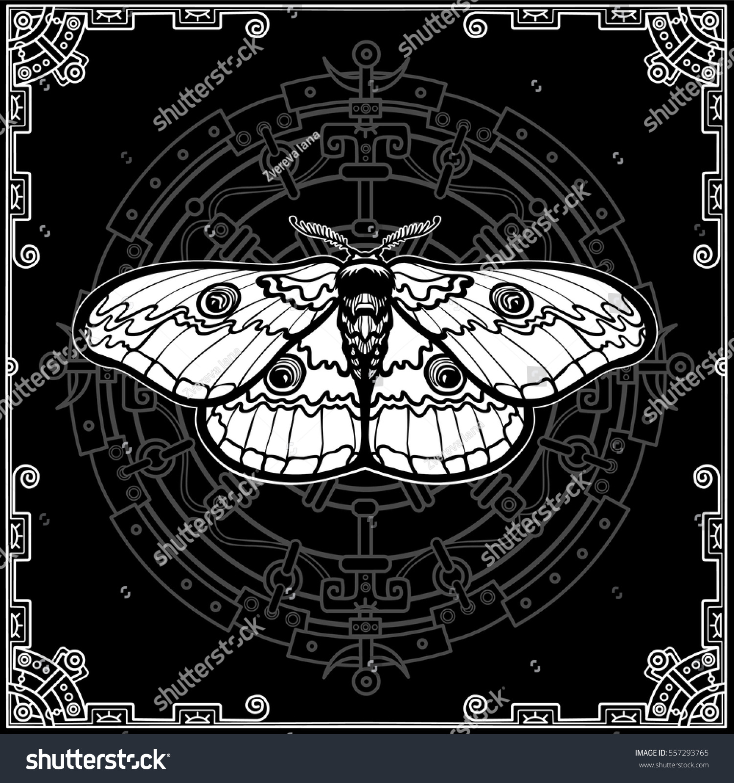 Night Moth Esoteric Symbol Black Background: vector de stock (libre de ...