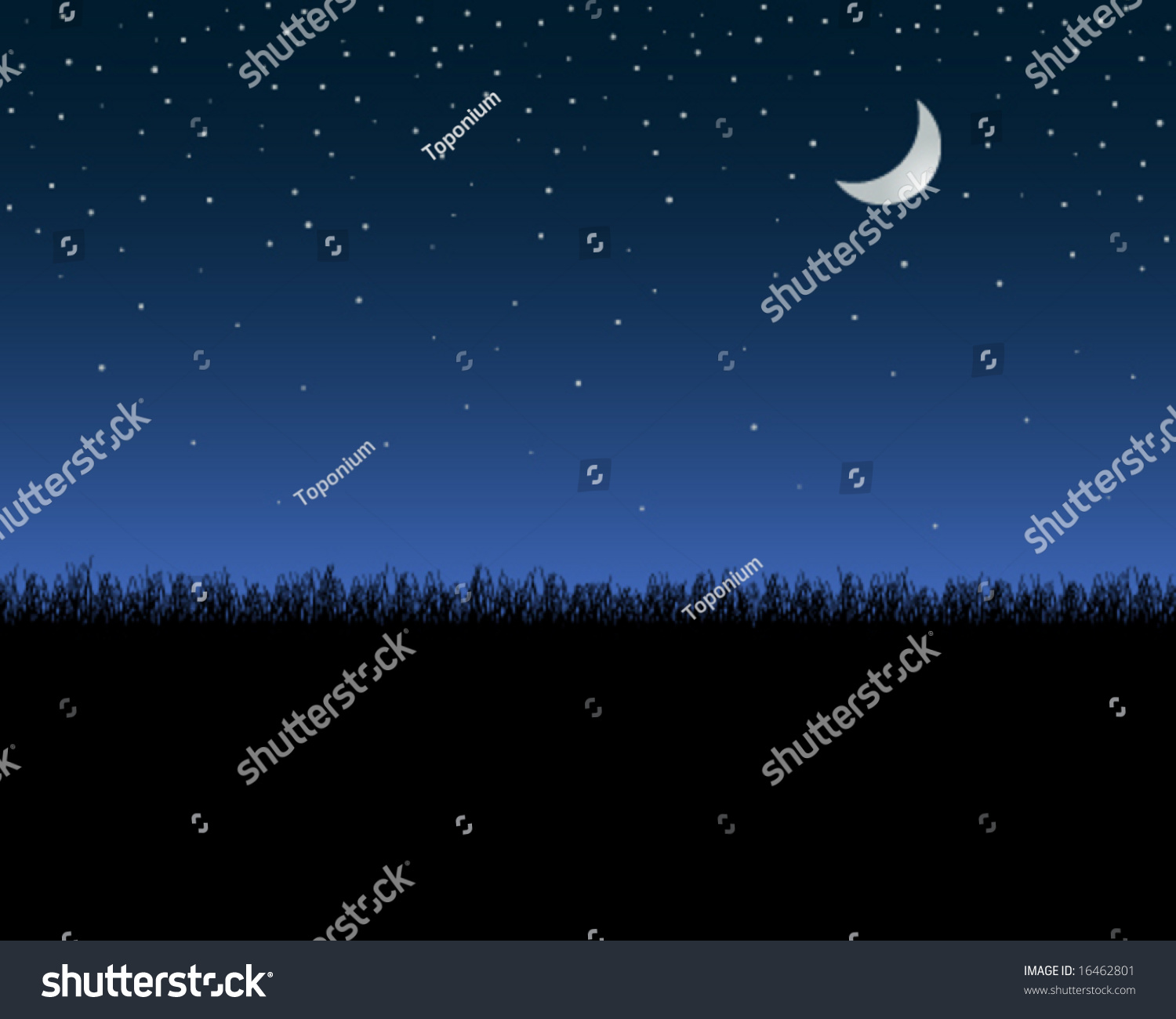 Night Sky Stars Above Grass Stock Vector Royalty Free 16462801
