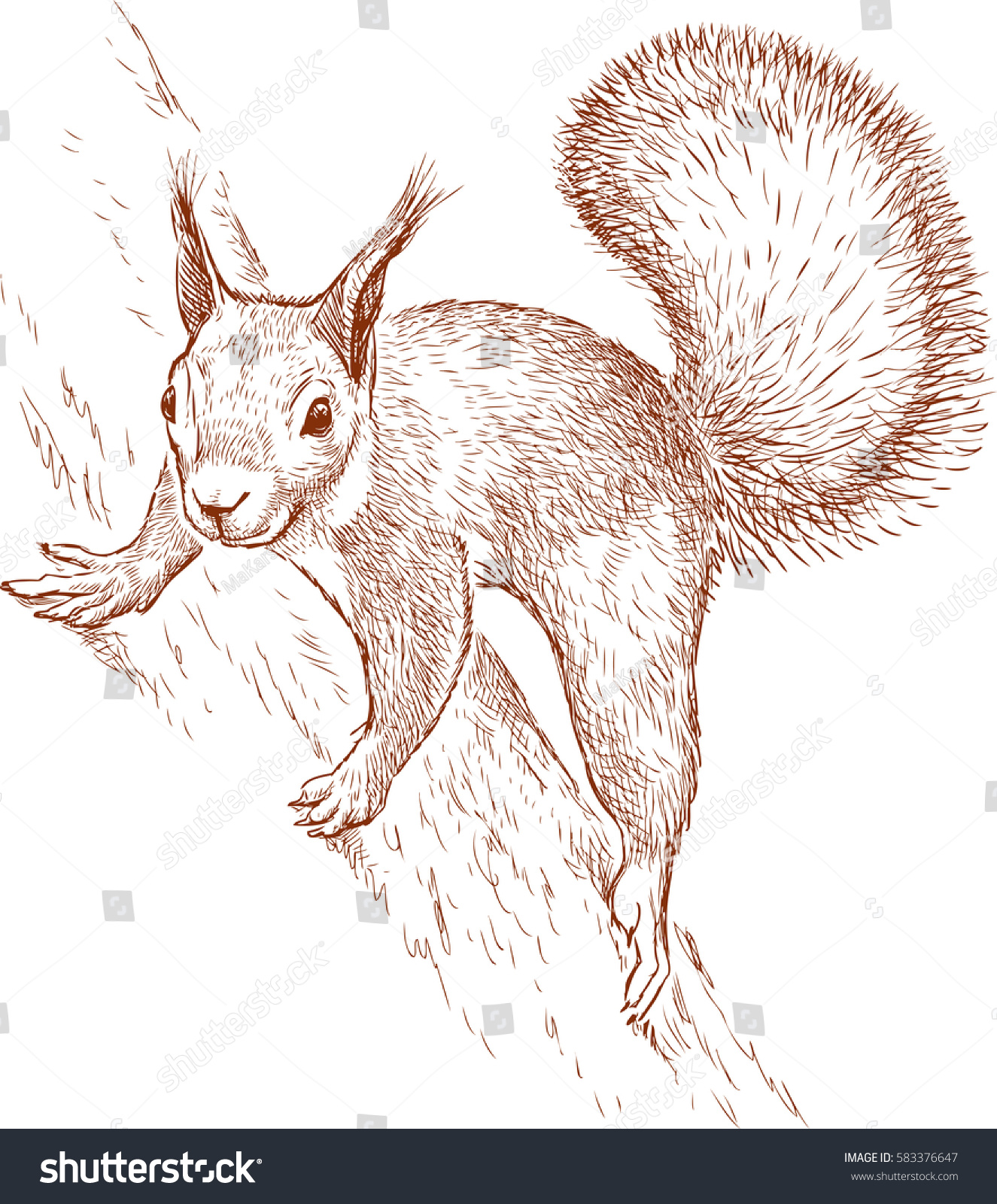 Nimble Squirrel On Tree Stock Vector (Royalty Free) 583376647 ...
