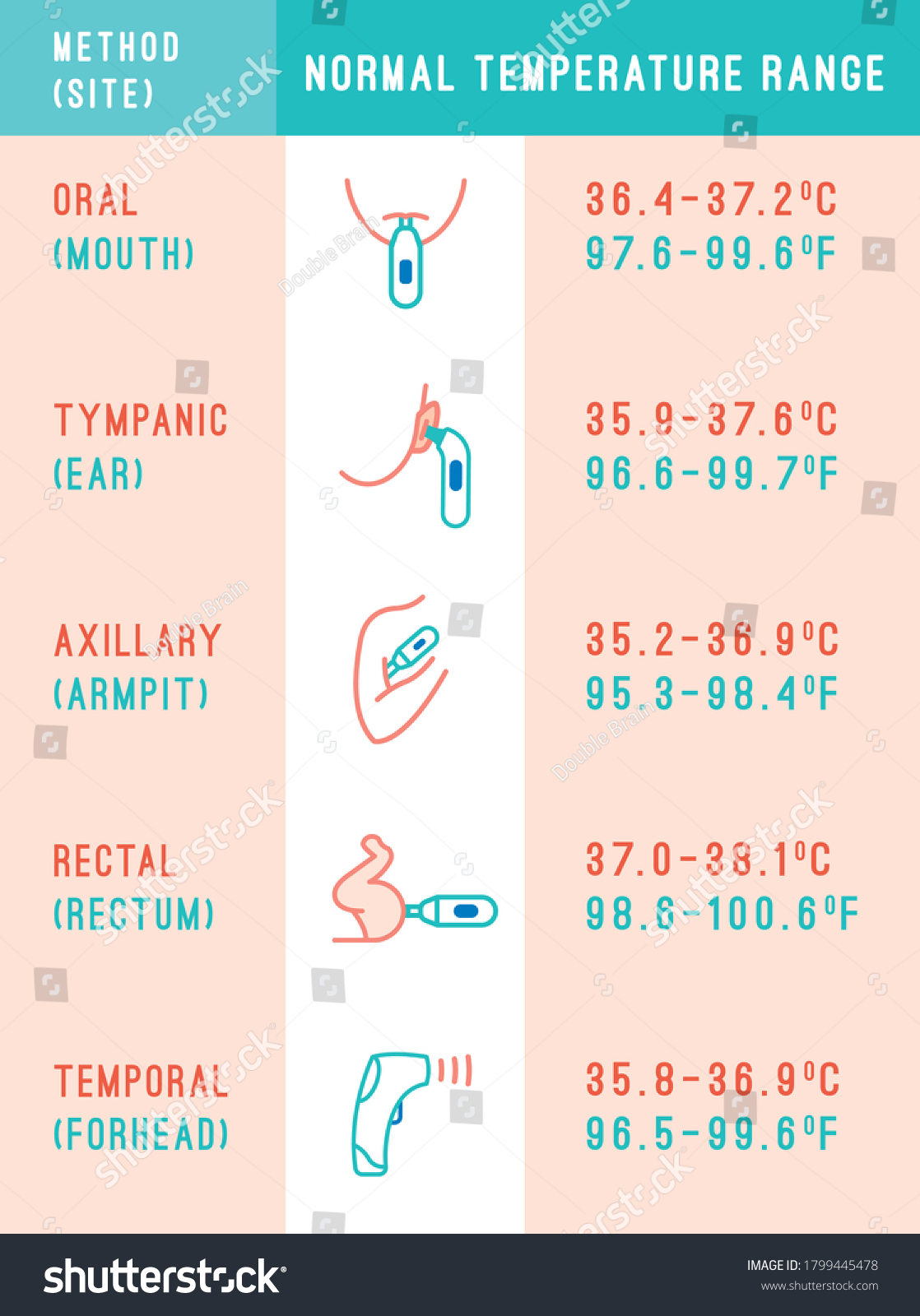 Rango de temperatura normal. Método de: vector de stock (libre de ...