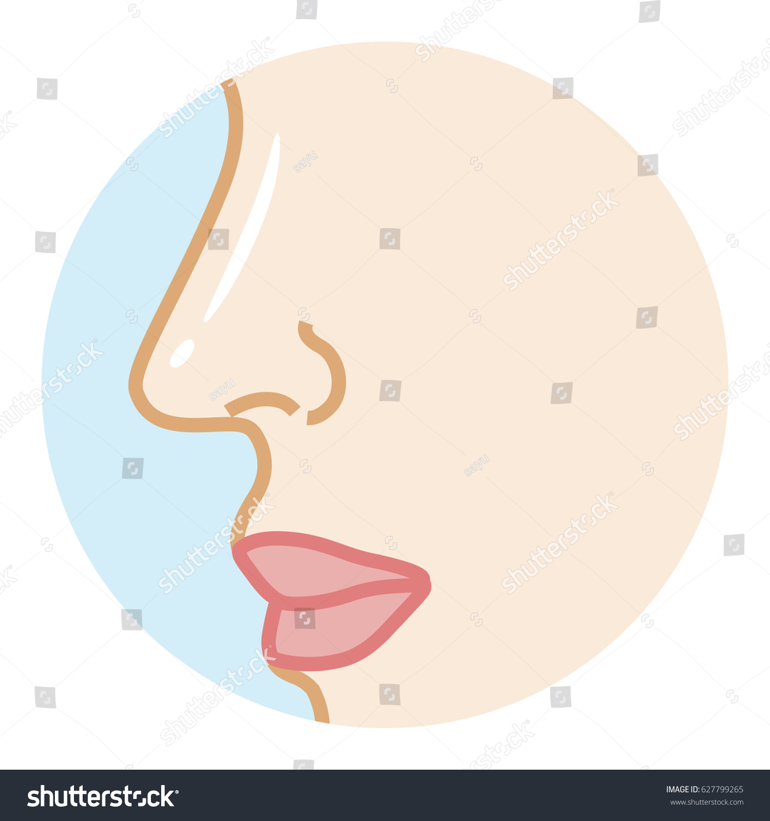 Nose Closeup Side View Stock Vector (Royalty Free) 627799265